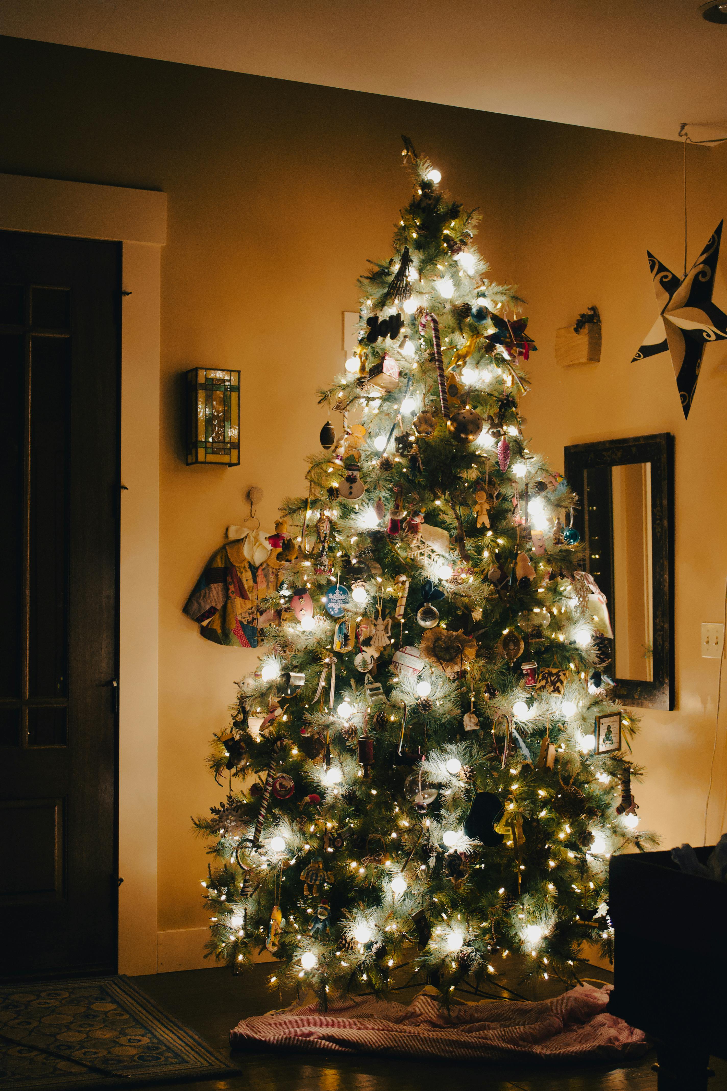 Warm and Cozy Christmas Tree in Living Room · Free Stock Photo