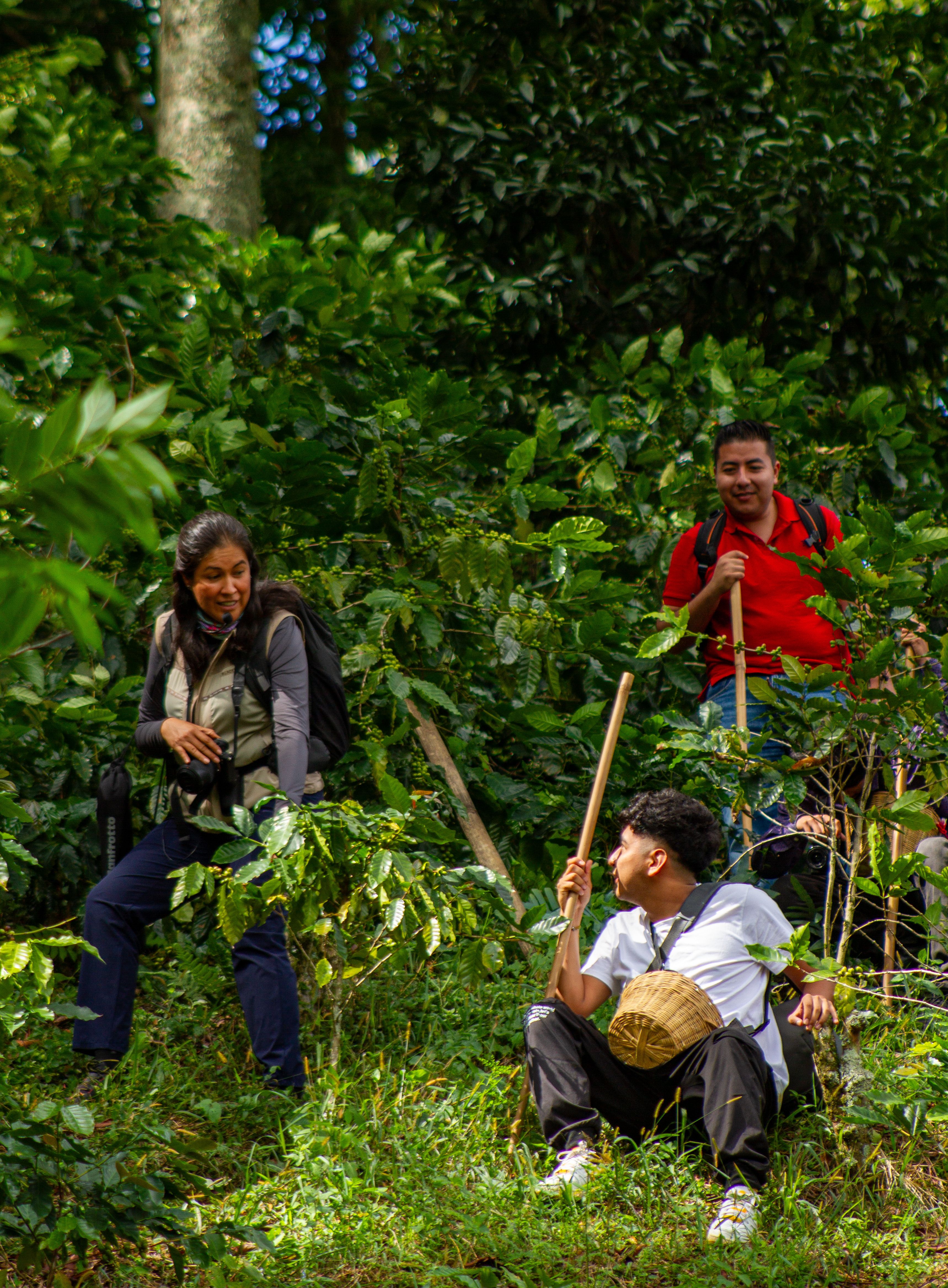 Group Of People In Nature