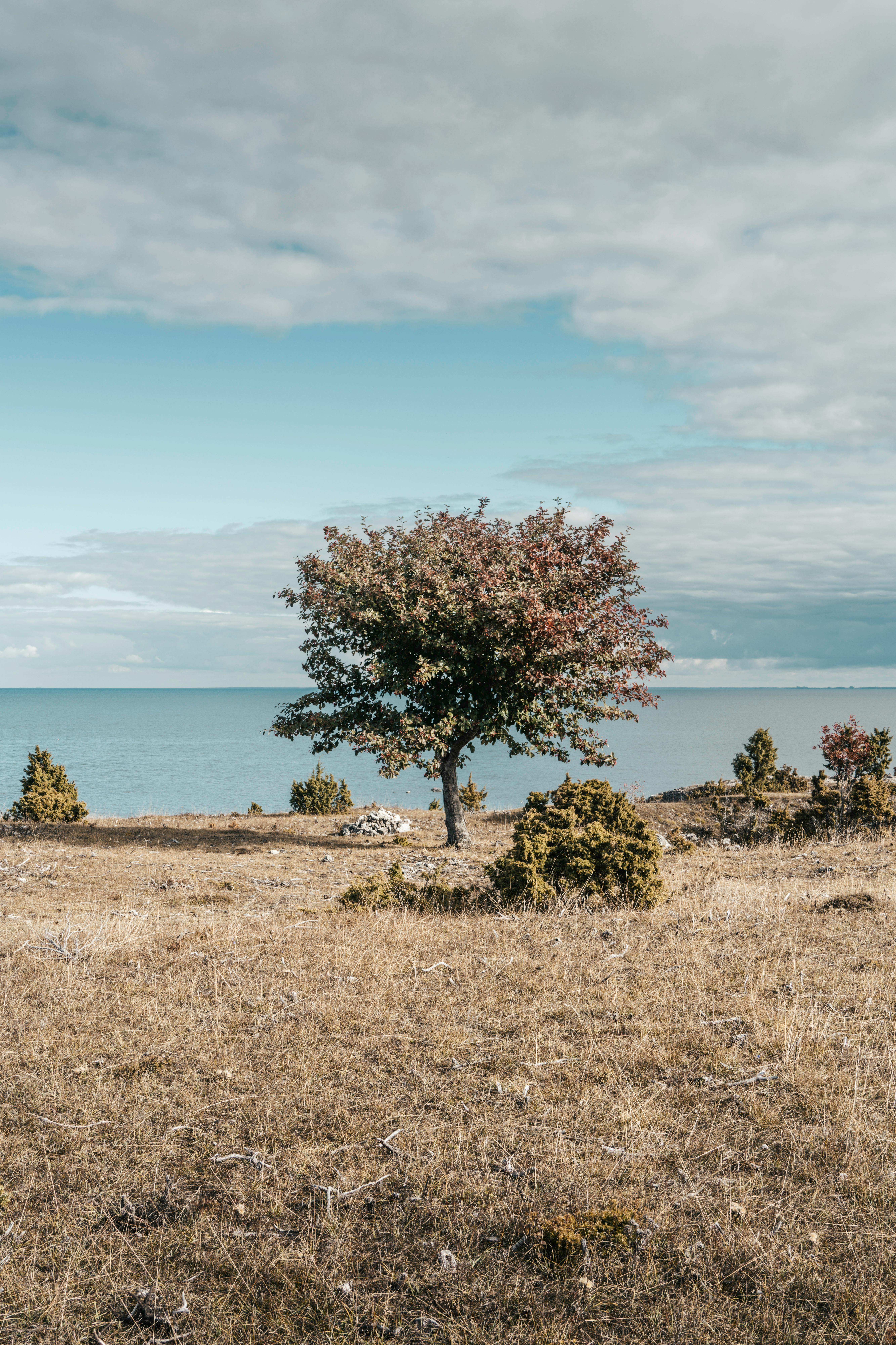 Muhu Saar Photos, Download The BEST Free Muhu Saar Stock Photos & HD Images