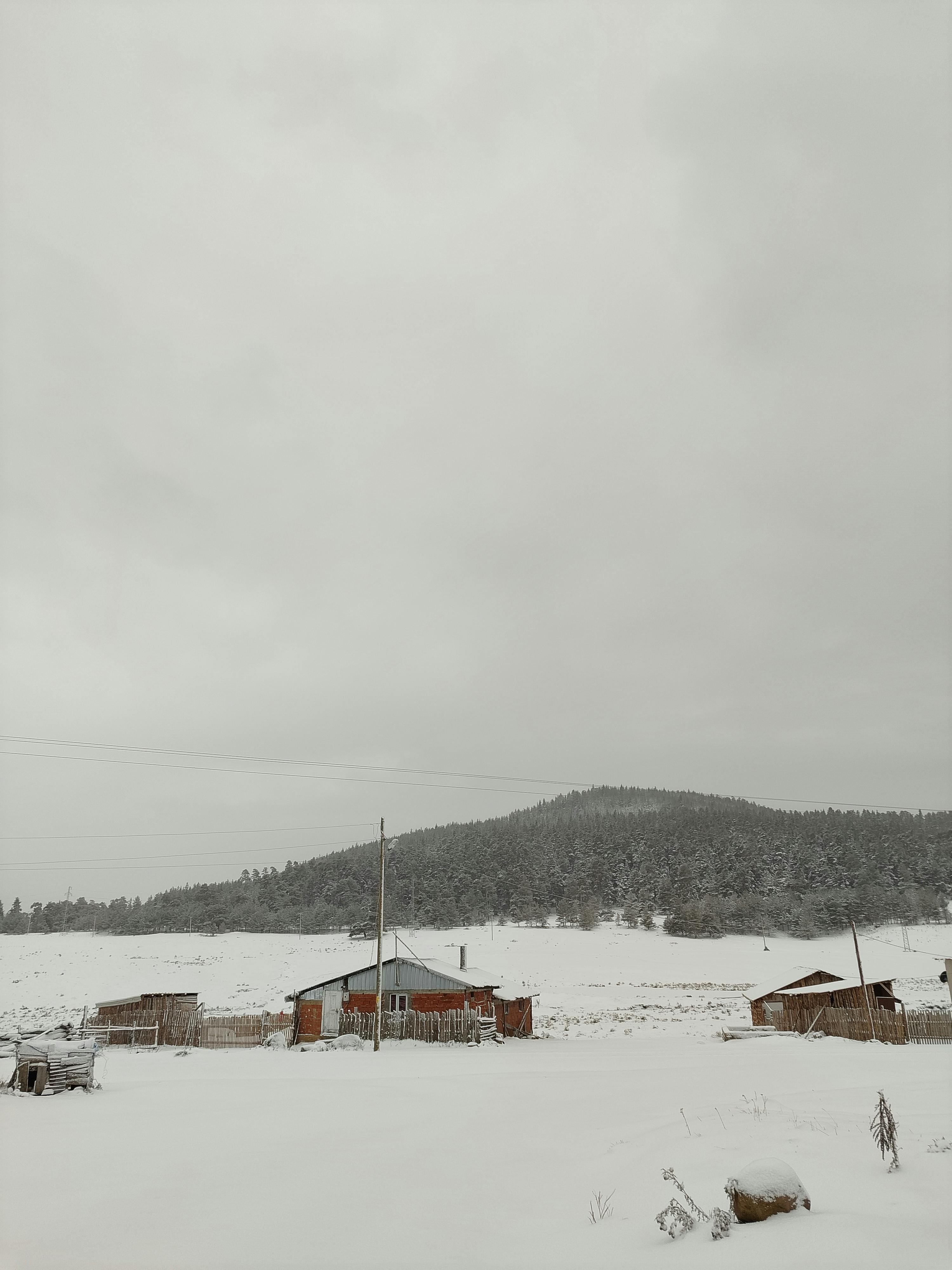 Snowy Rural Landscape with Rustic Cabins · Free Stock Photo