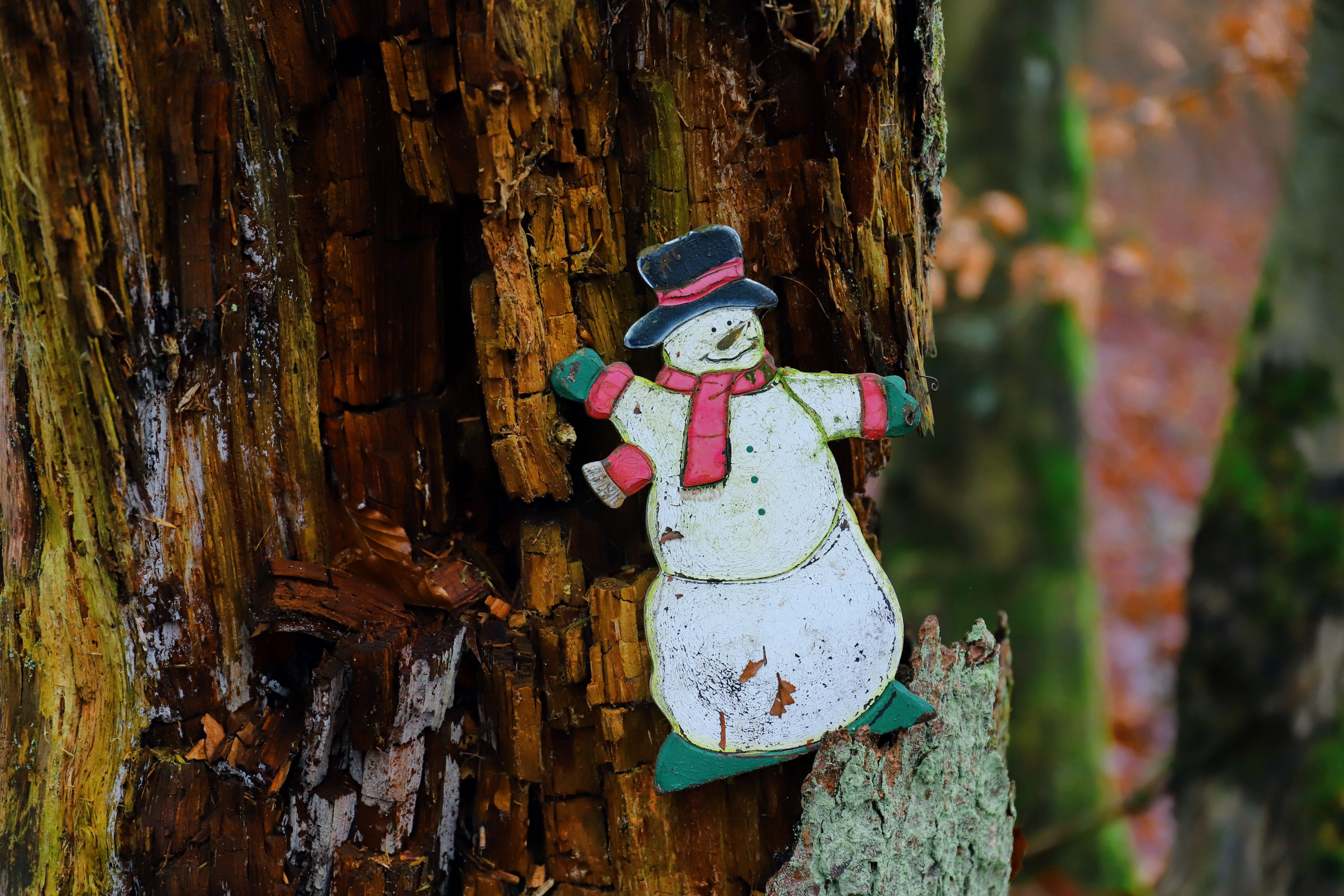 Colorful Snowman Ornament on Tree Trunk · Free Stock Photo