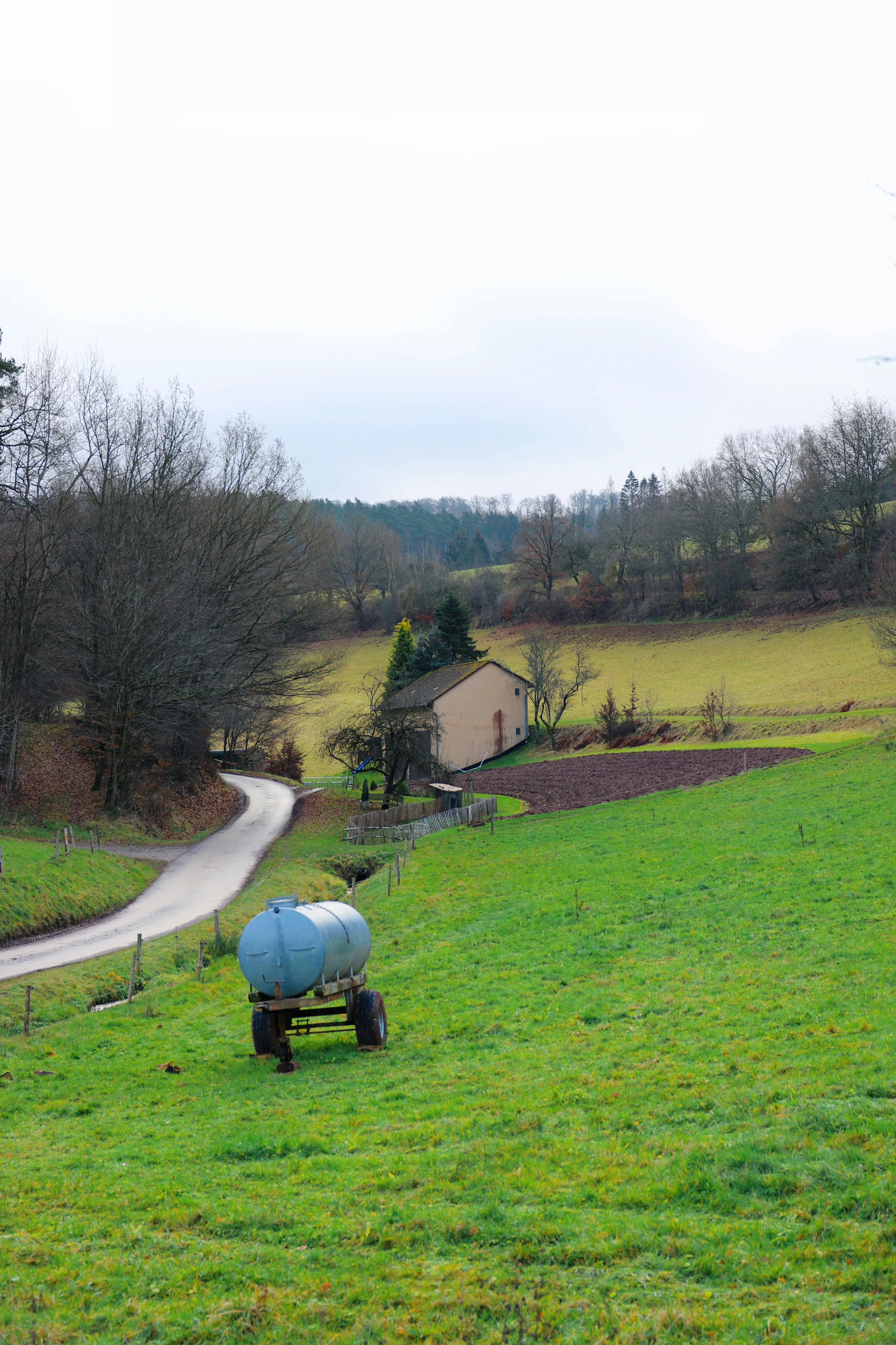 Rural Farm Scene with Lush Green Landscape · Free Stock Photo