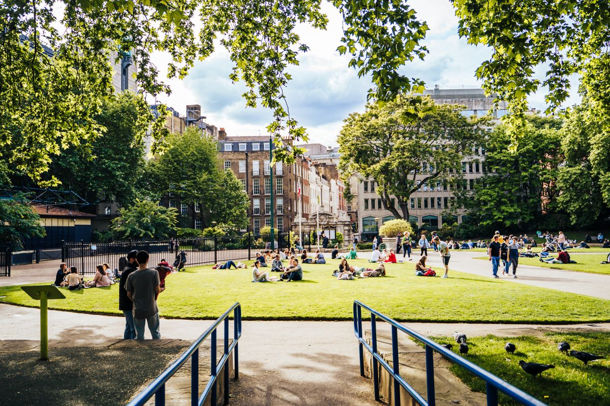 People In A Park Photos, Download The BEST Free People In A Park Stock ...