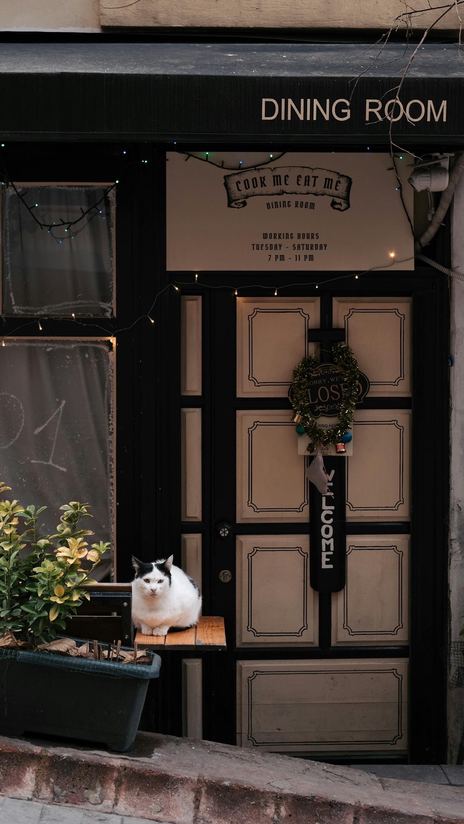 Welcome Picture Photos, Download The BEST Free Welcome Picture Stock ...