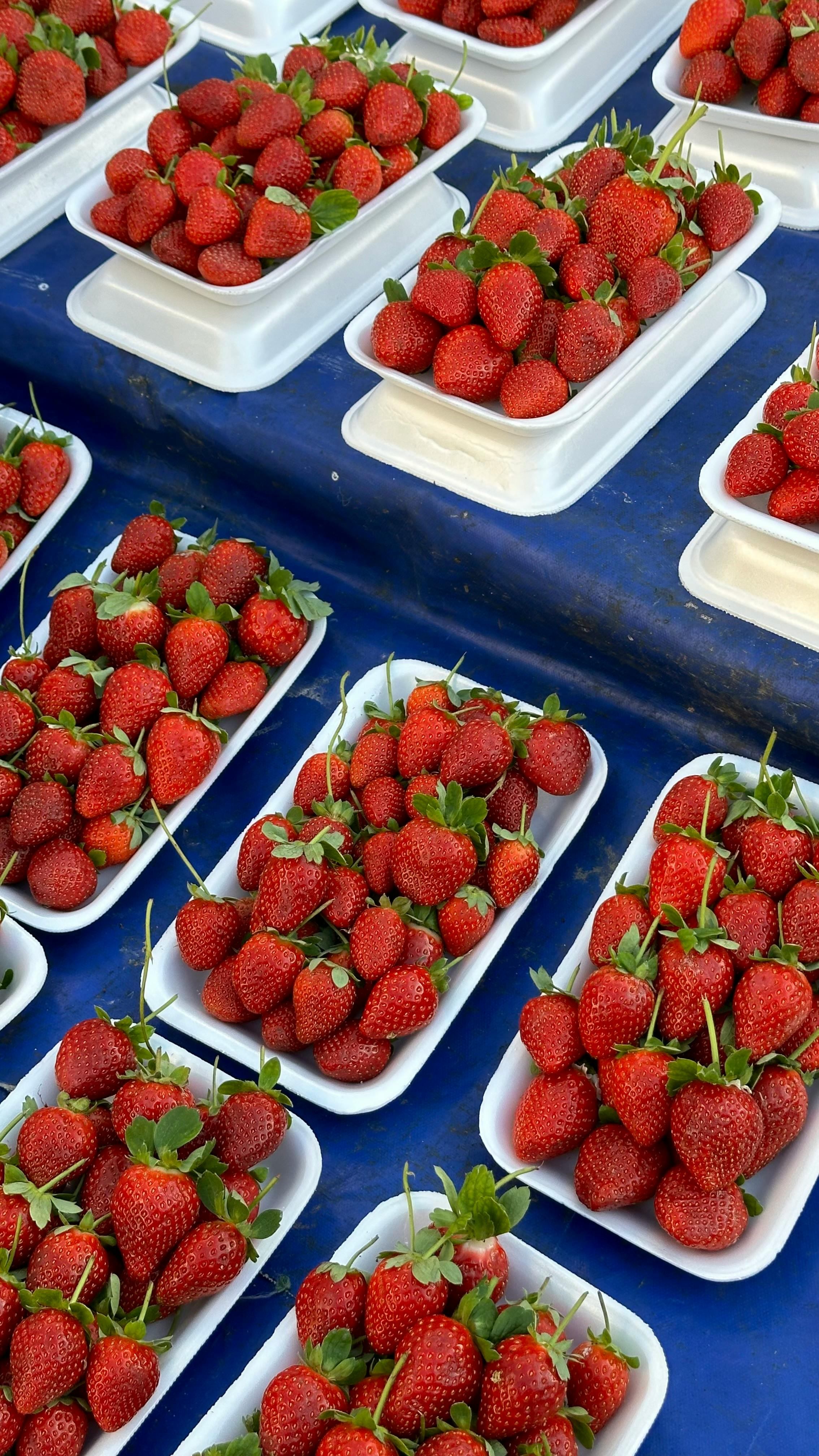 Packs of Fresh Strawberries and Cherries · Free Stock Photo