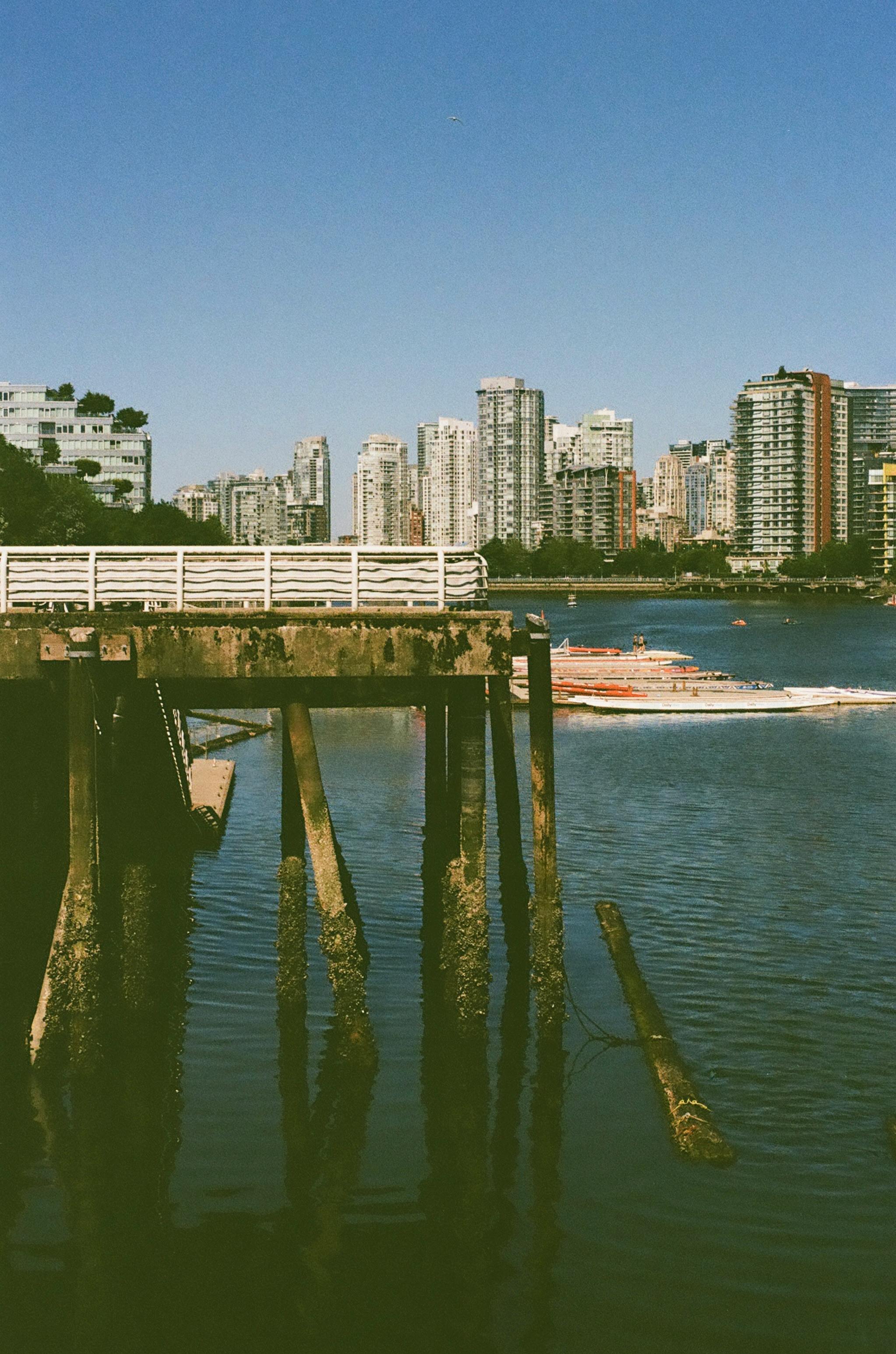 Scenic Urban Waterfront with City Skyline and Pier · Free Stock Photo
