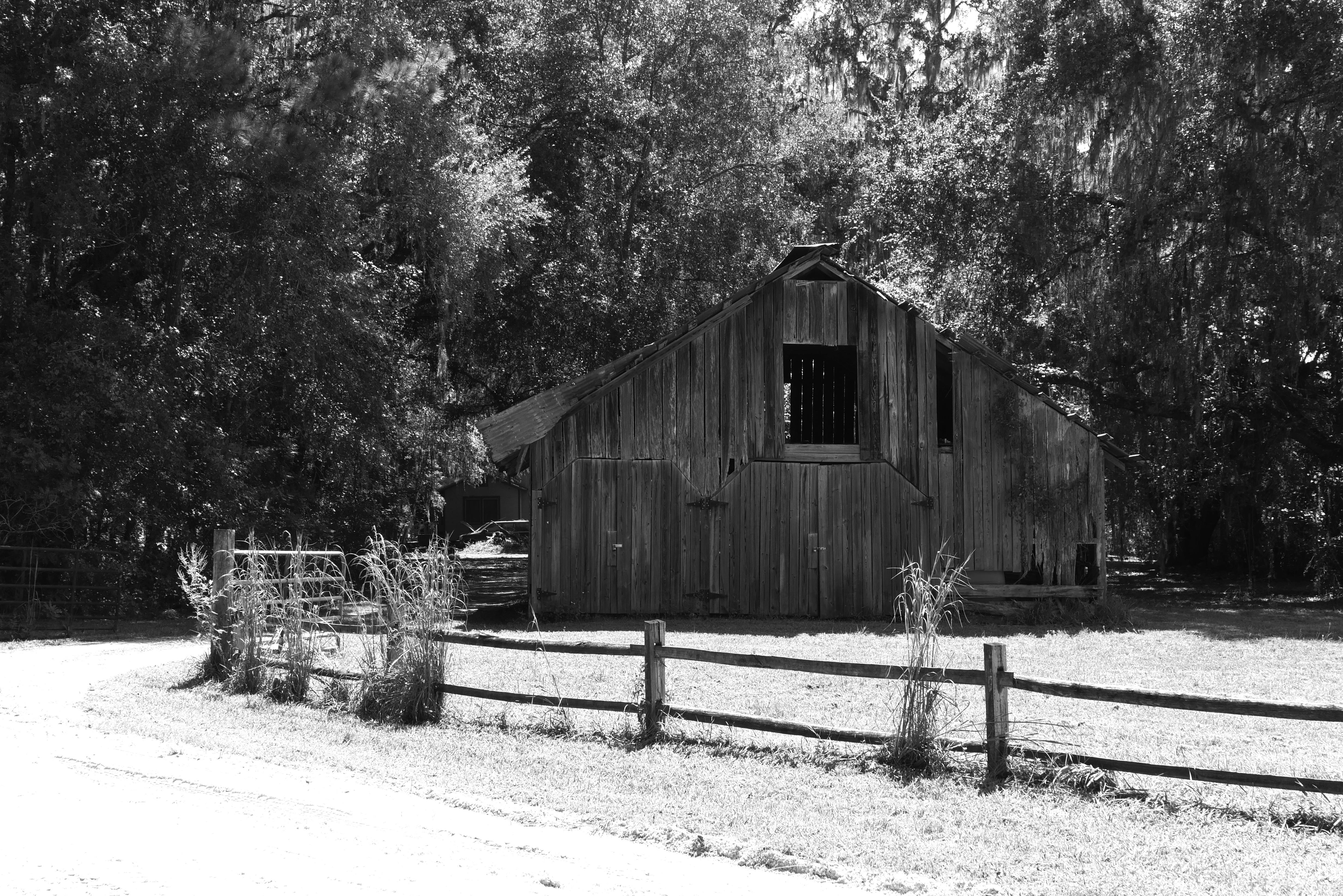 Snowbird Florida Photos, Download The BEST Free Snowbird Florida Stock ...