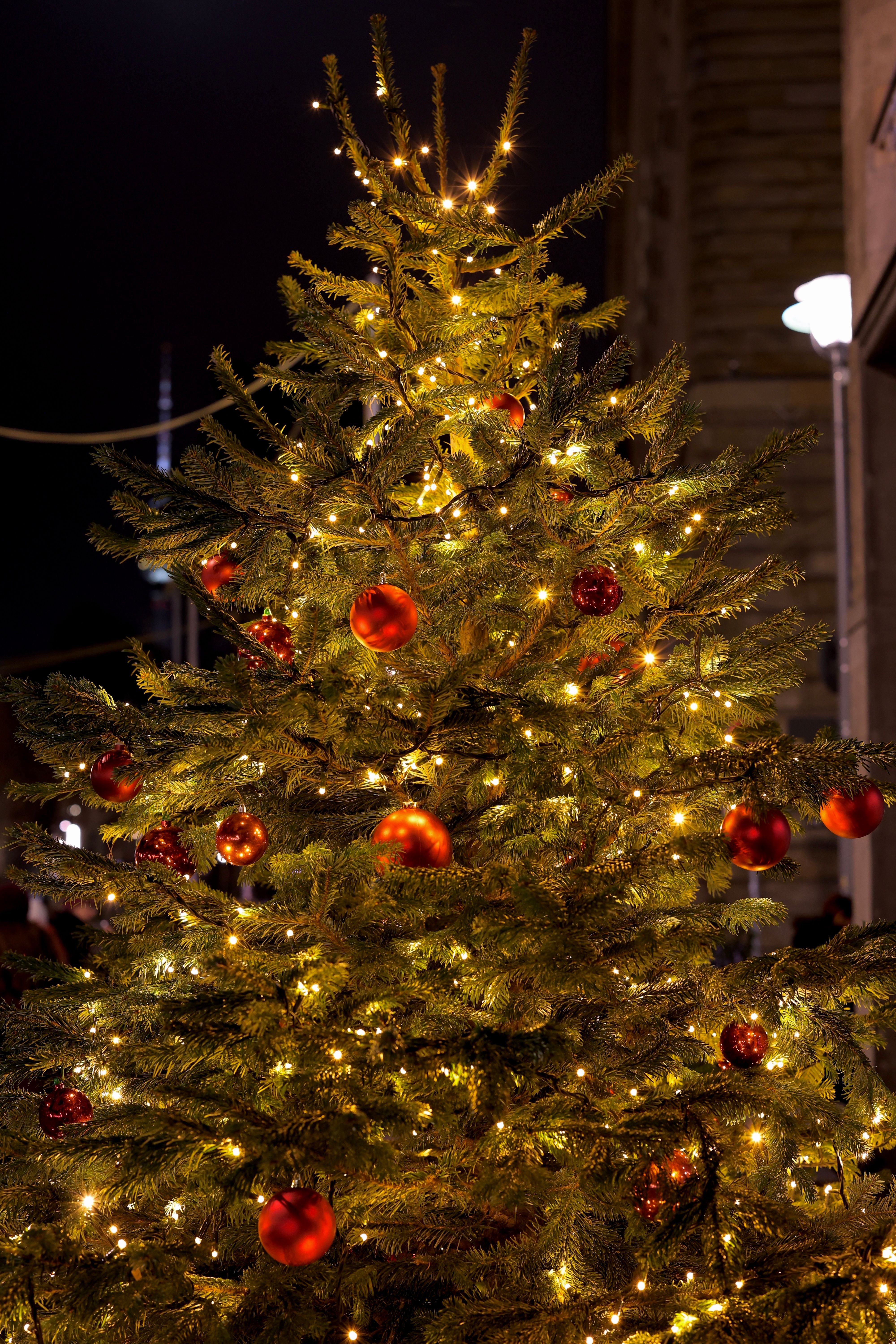 Lamp Illuminating Christmas Tree and Wreath · Free Stock Photo