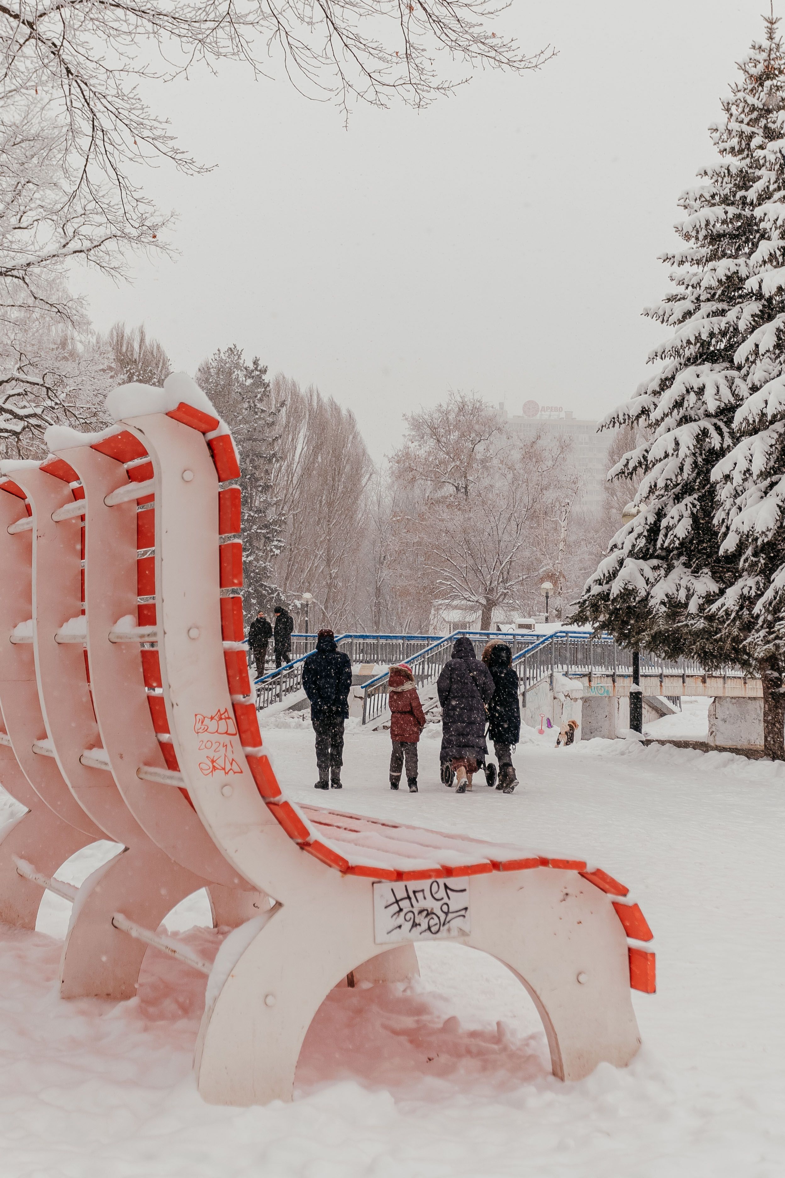 Winter Stroll in Snow-Covered Park · Free Stock Photo