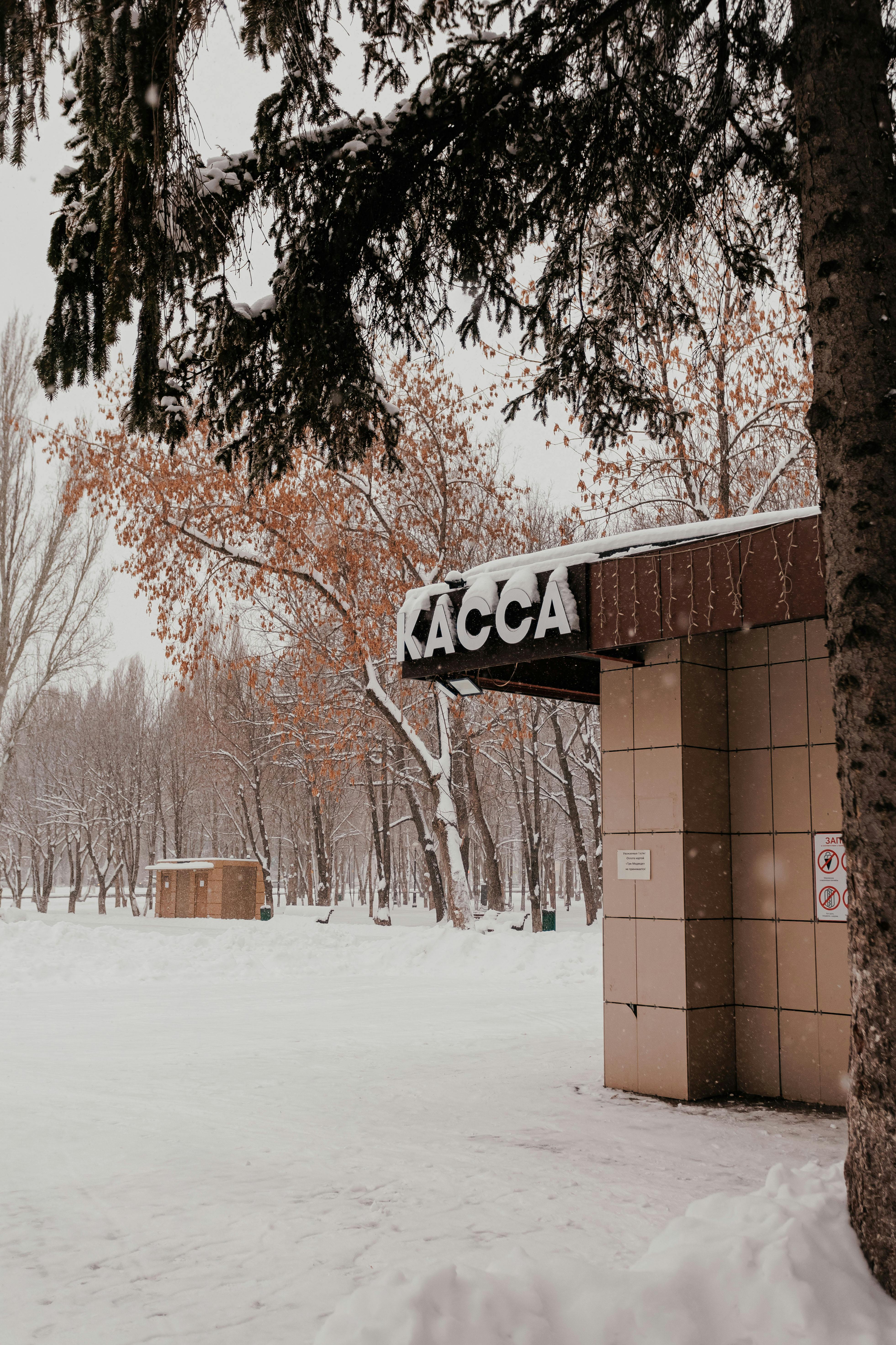 Icy Pathway Photos, Download The BEST Free Icy Pathway Stock Photos ...