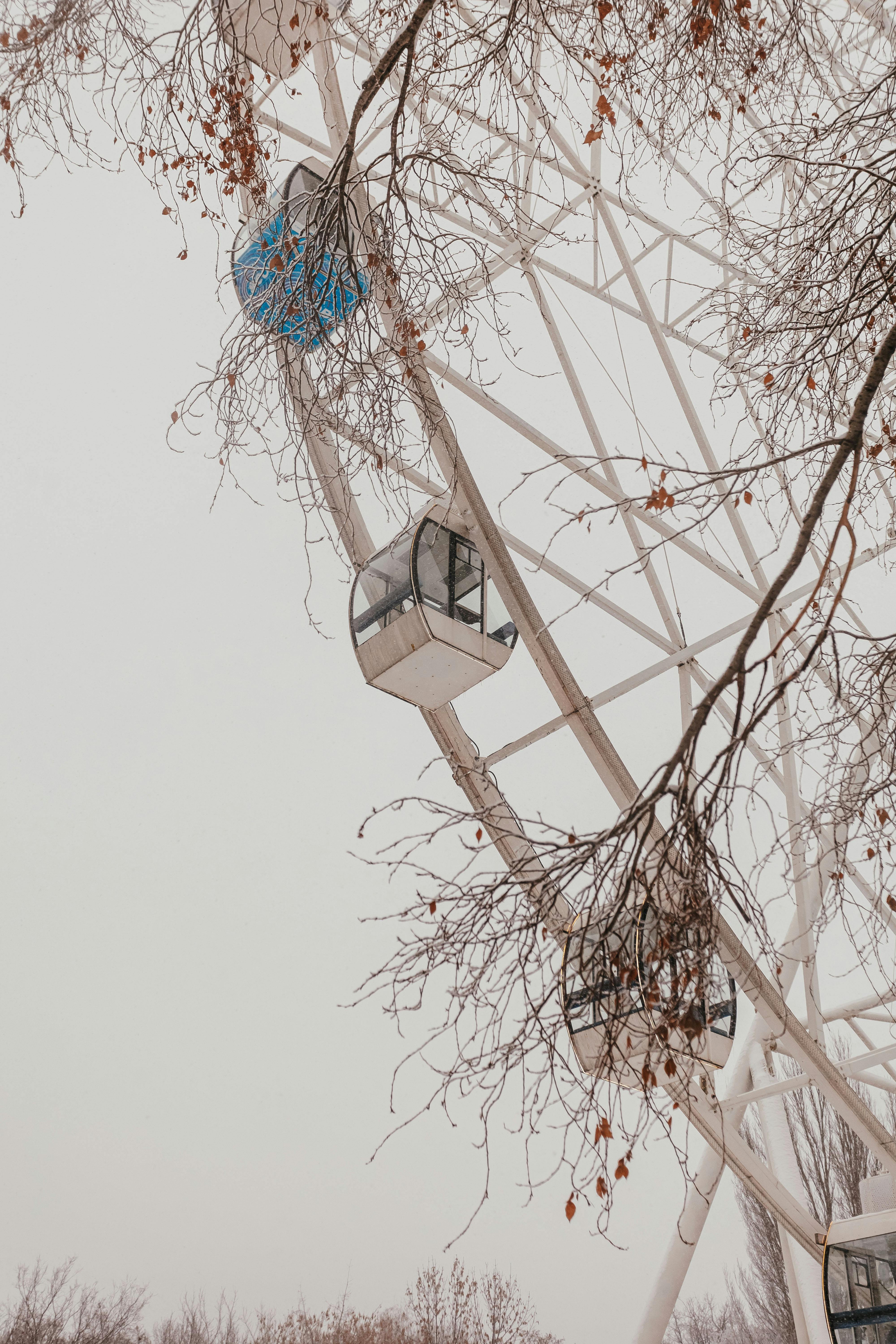 Serene Winter Ferris Wheel with Bare Trees · Free Stock Photo
