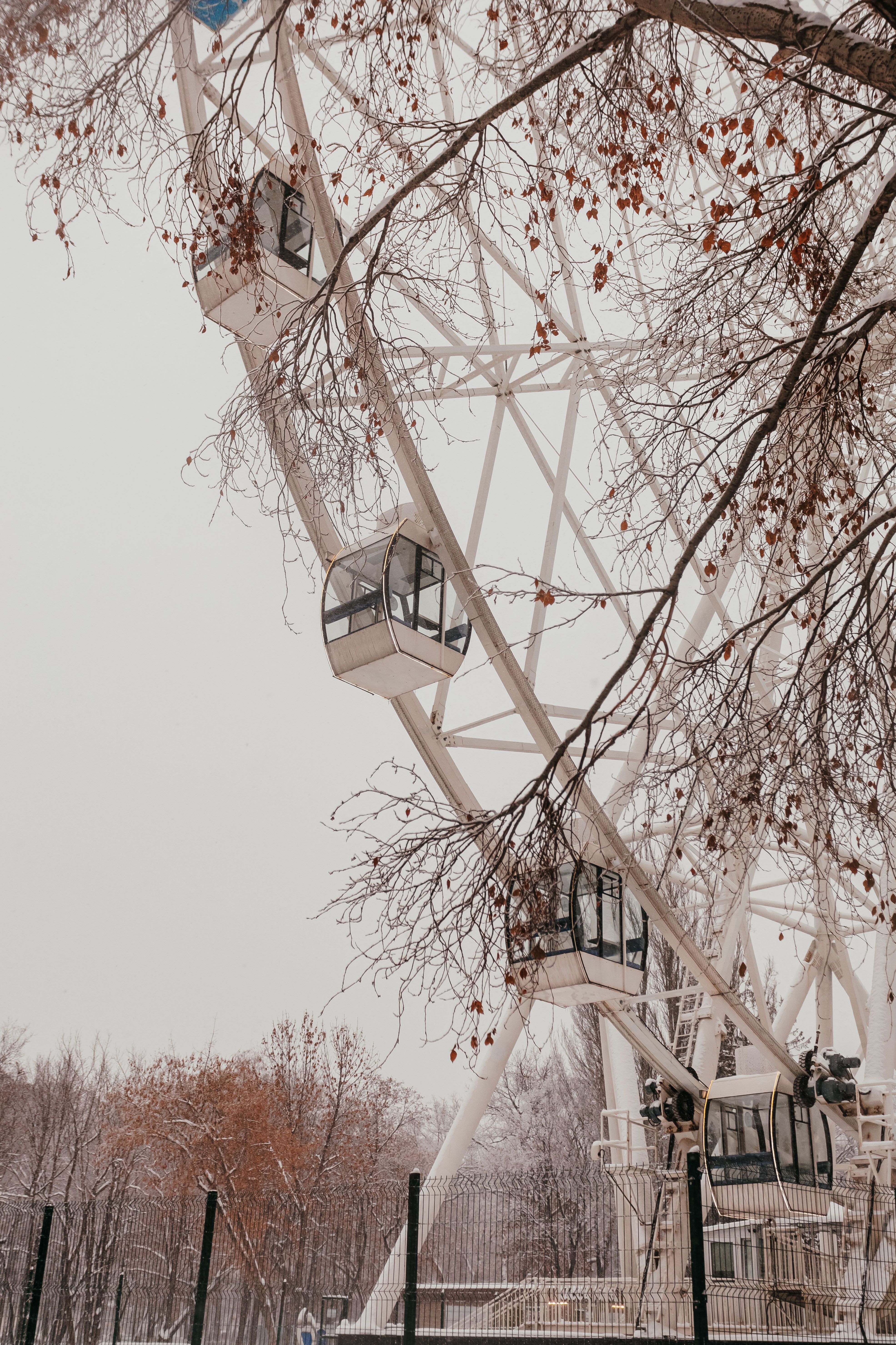 Winter Ferris Wheel in a Snowy Park Scene · Free Stock Photo