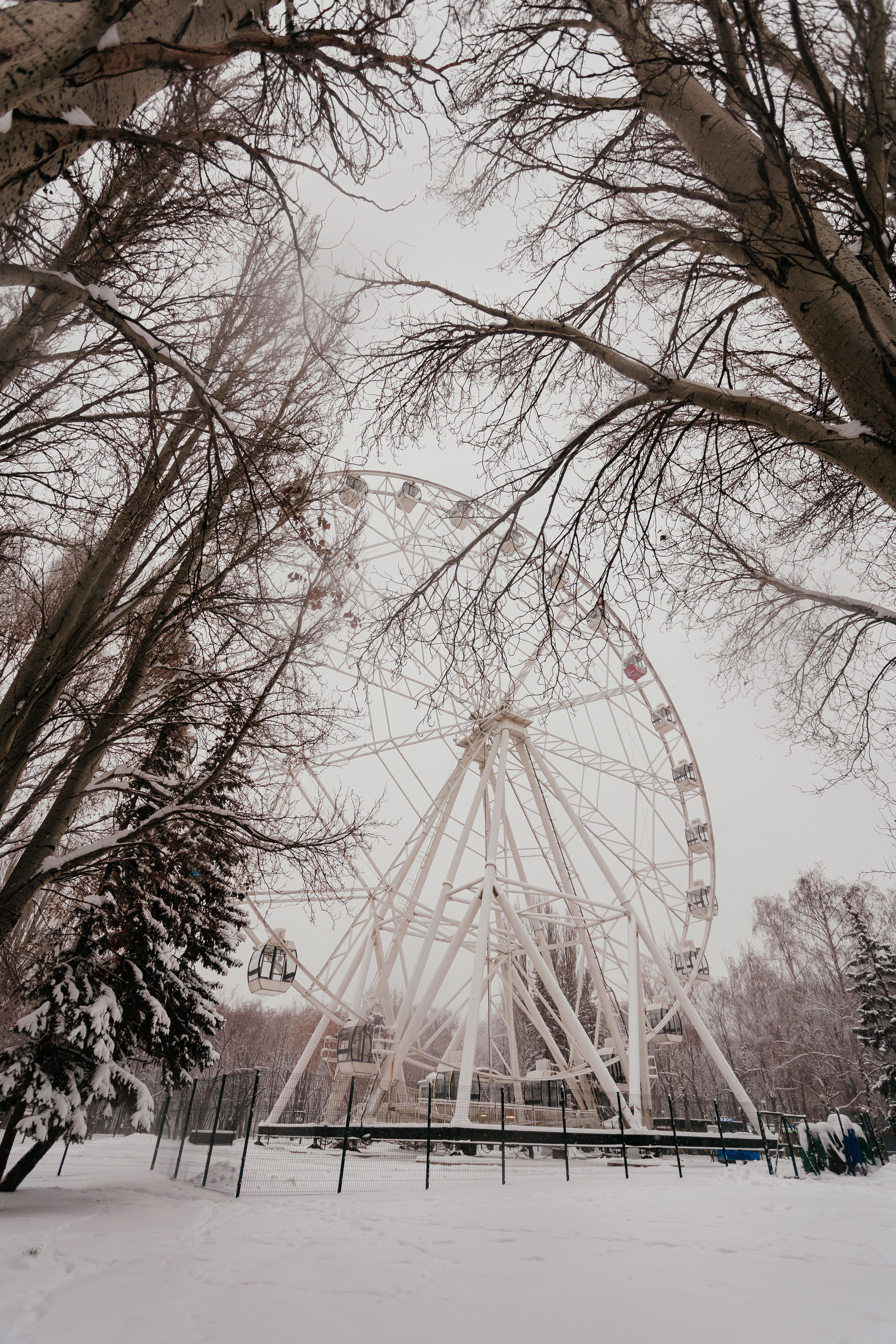 Giant Ferris Wheel in Winter Park Setting · Free Stock Photo