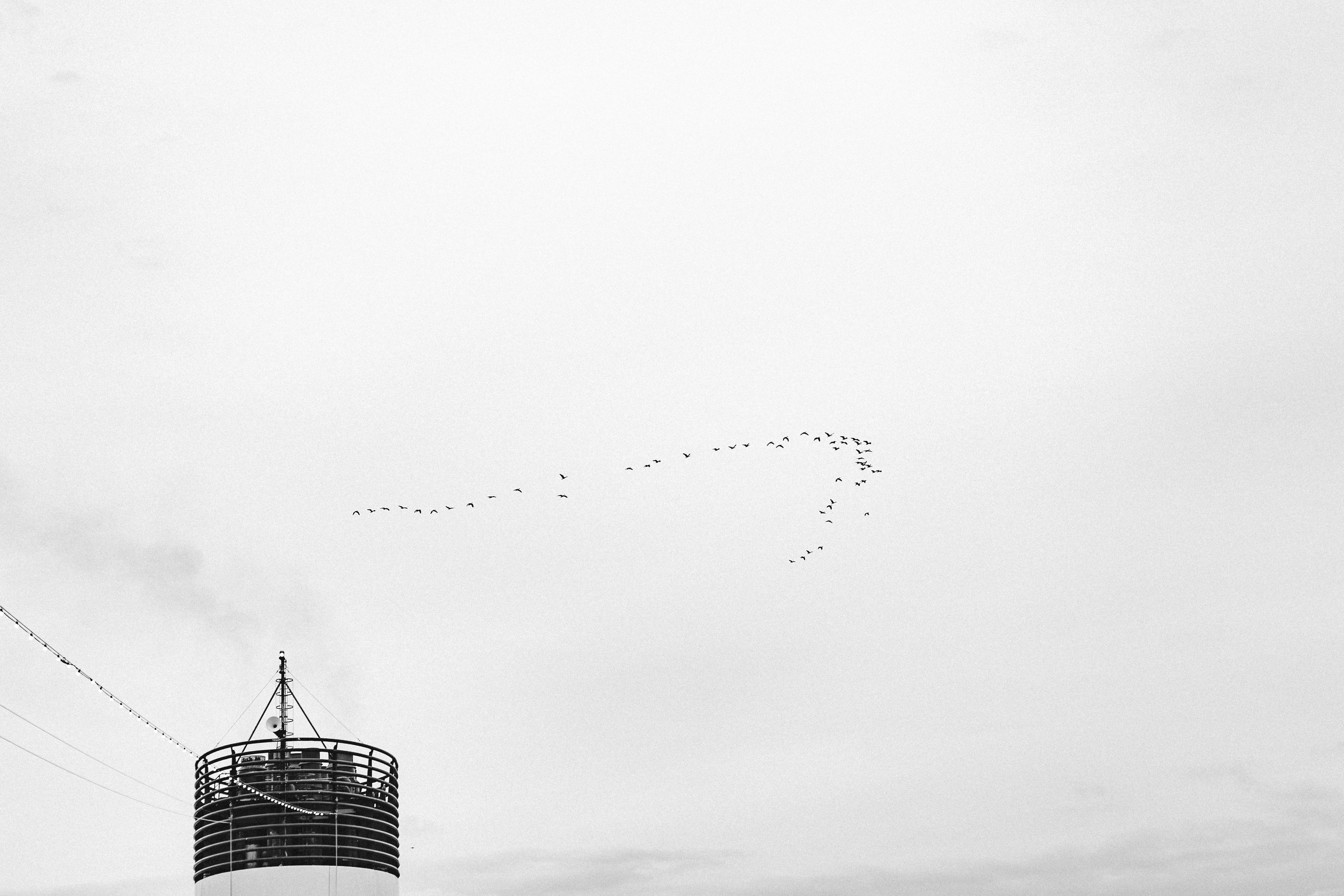 Minimalist Ship Funnel with Birds in Gray Sky · Free Stock Photo