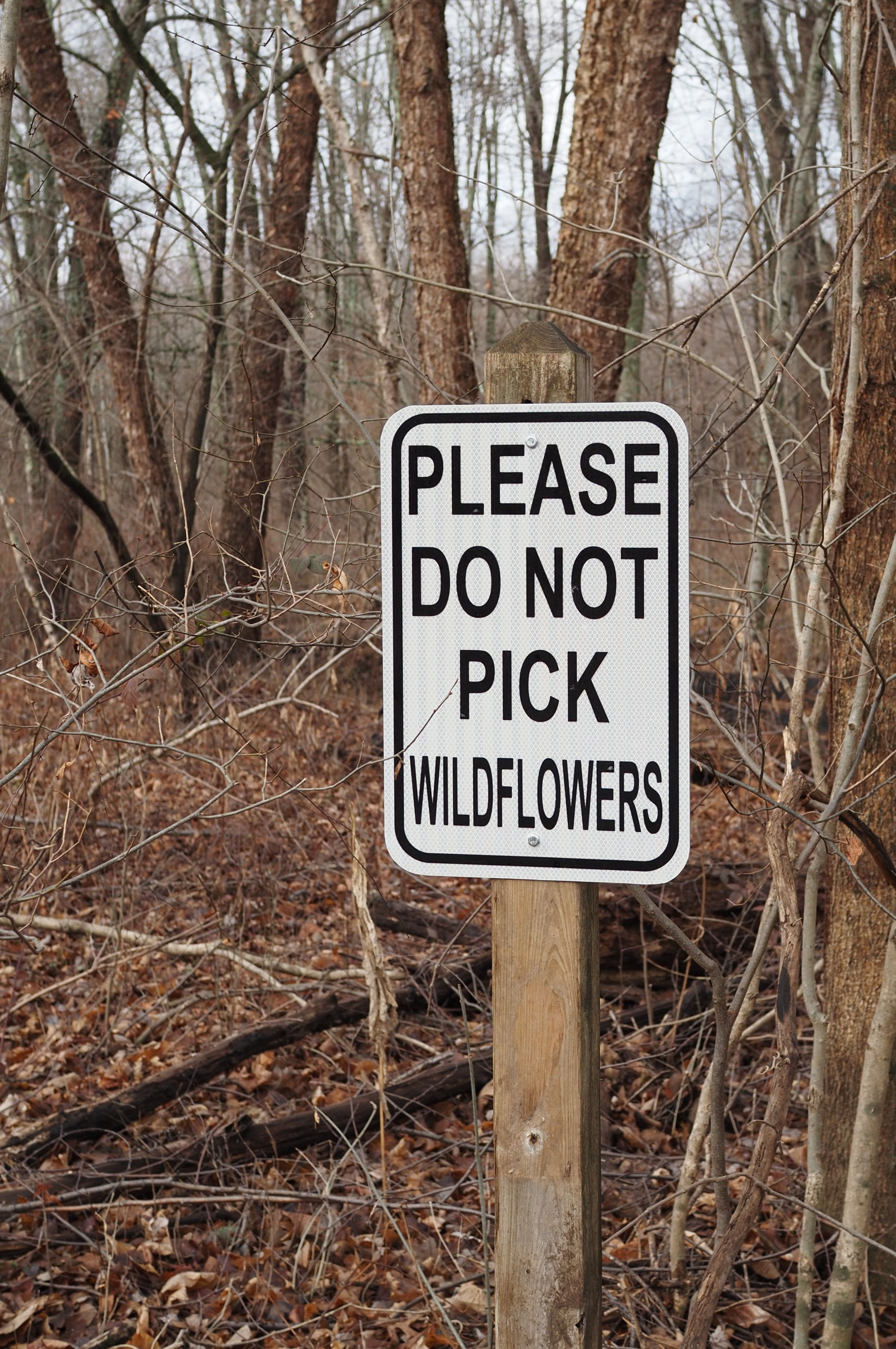 Do Not Pick Photos, Download The BEST Free Do Not Pick Stock Photos ...