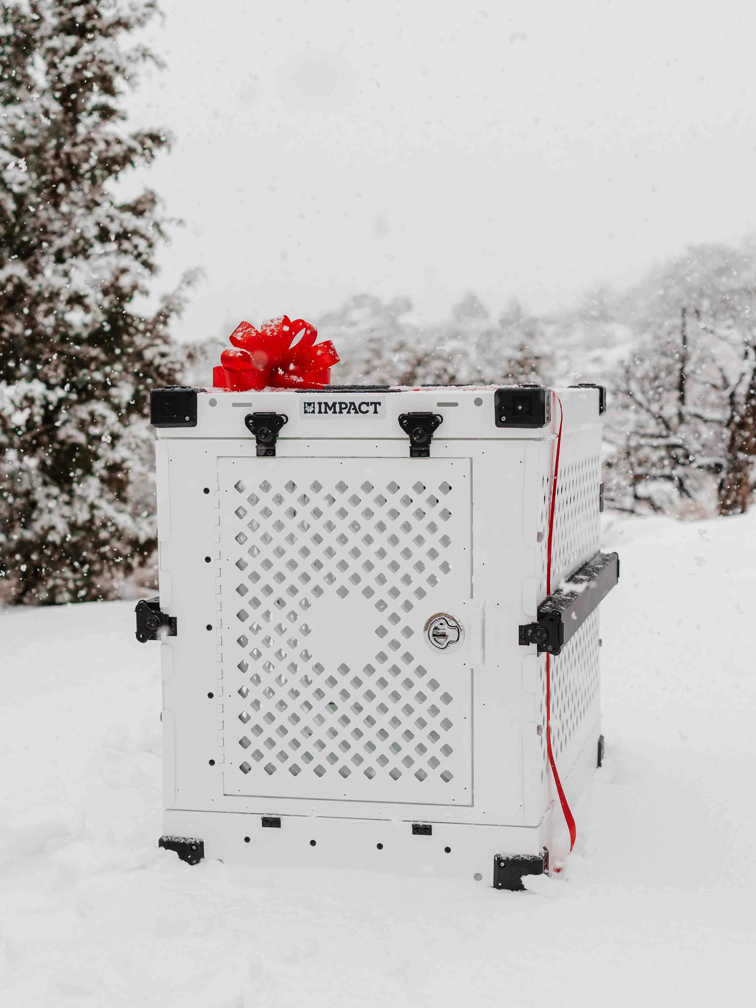 Winter Pet Crate with Red Bow in Snowy Landscape · Free Stock Photo