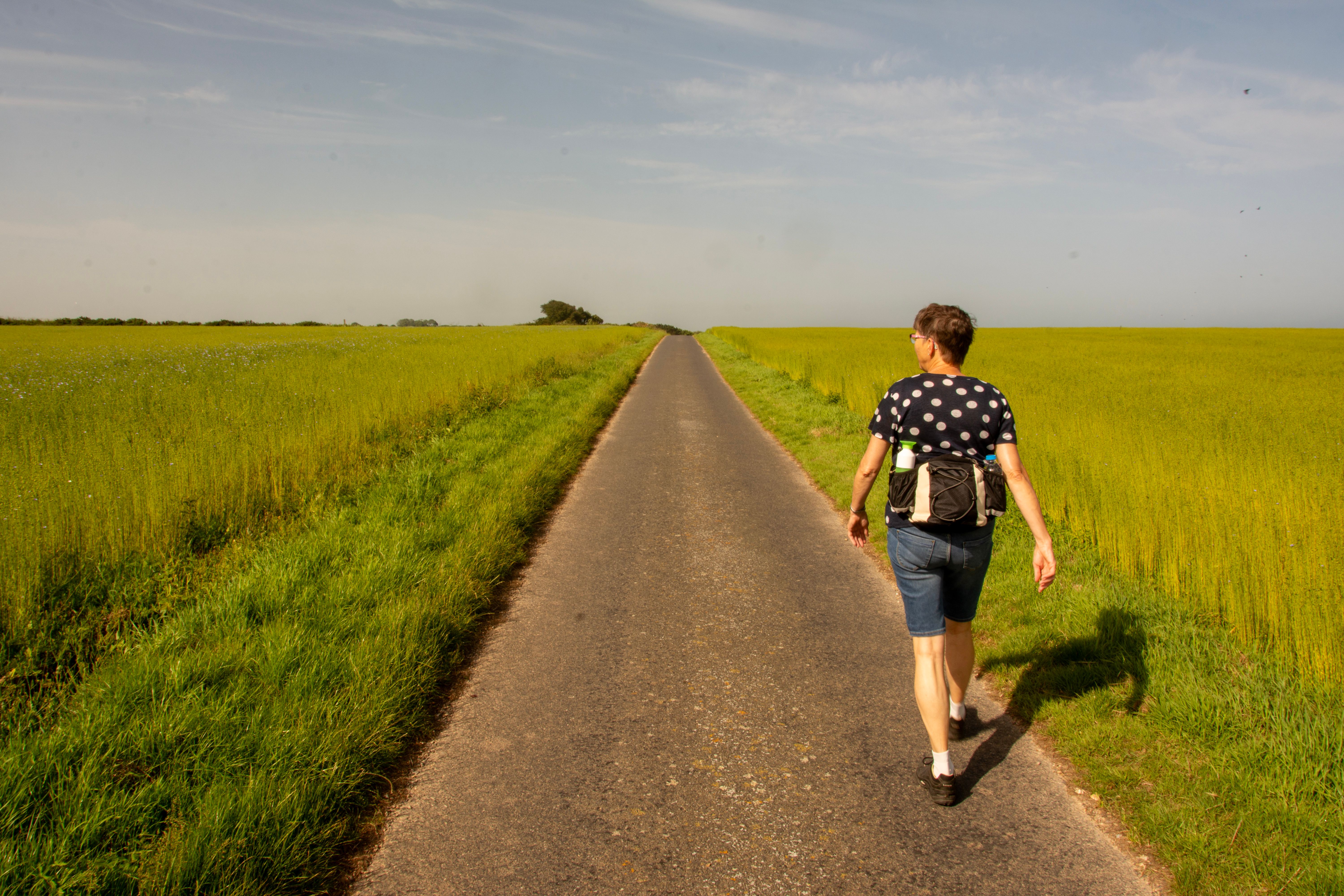 Woman Walking Along Country Road Through Fields · Free Stock Photo