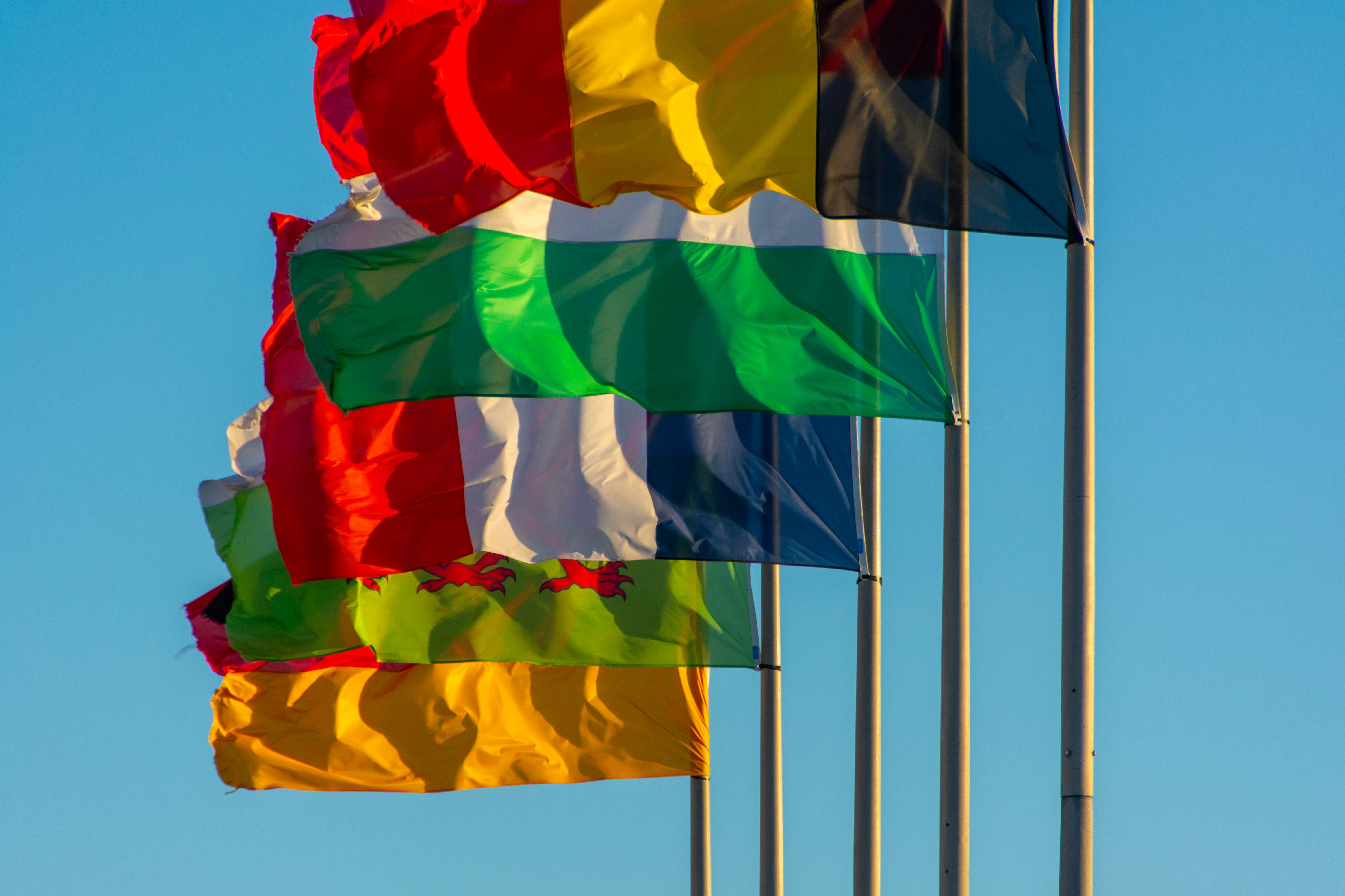 Banderas Nacionales Coloridas Ondeando Al Viento · Foto de stock gratuita