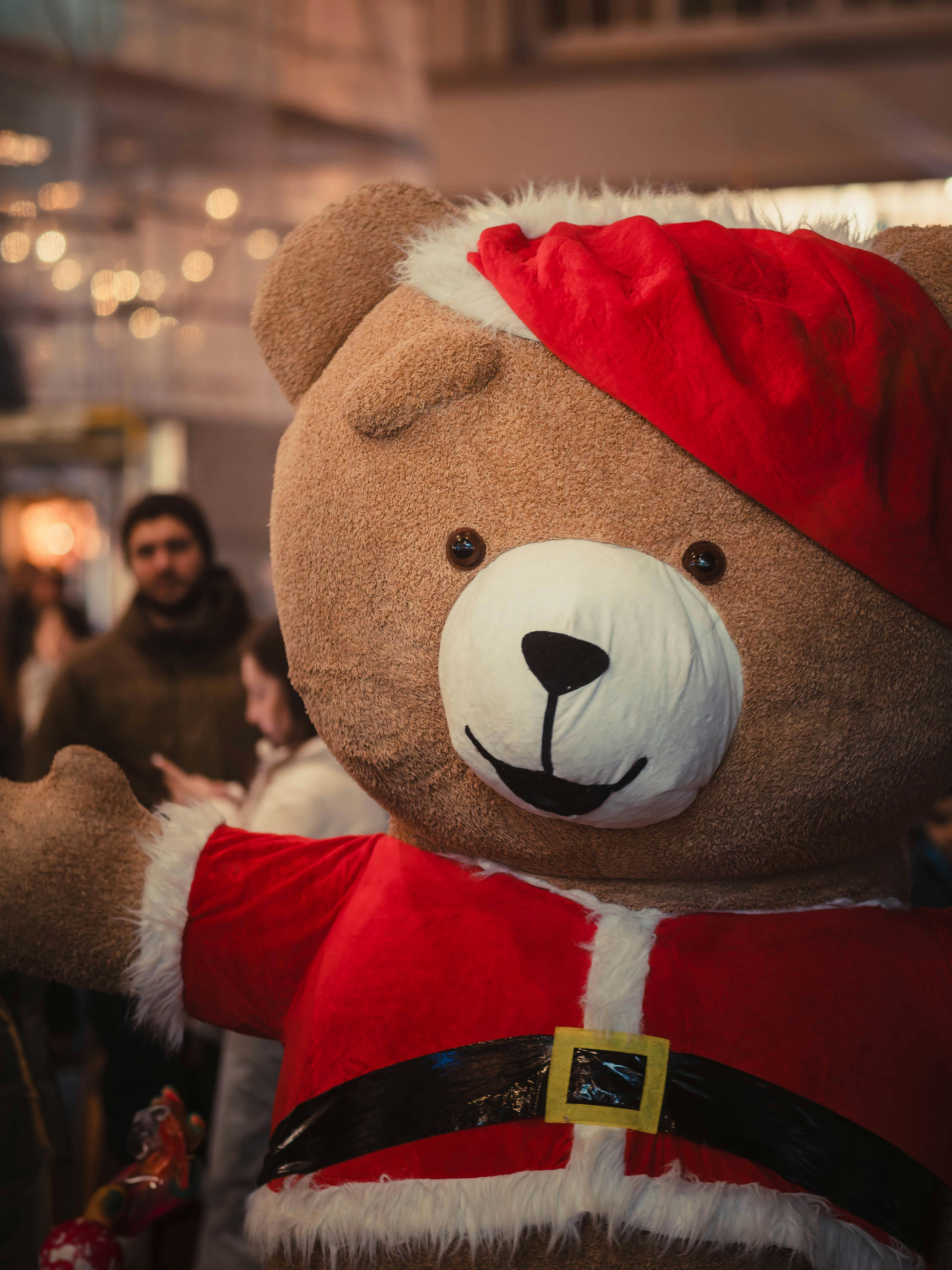 Dressed Up Bear Photos, Download The BEST Free Dressed Up Bear Stock ...