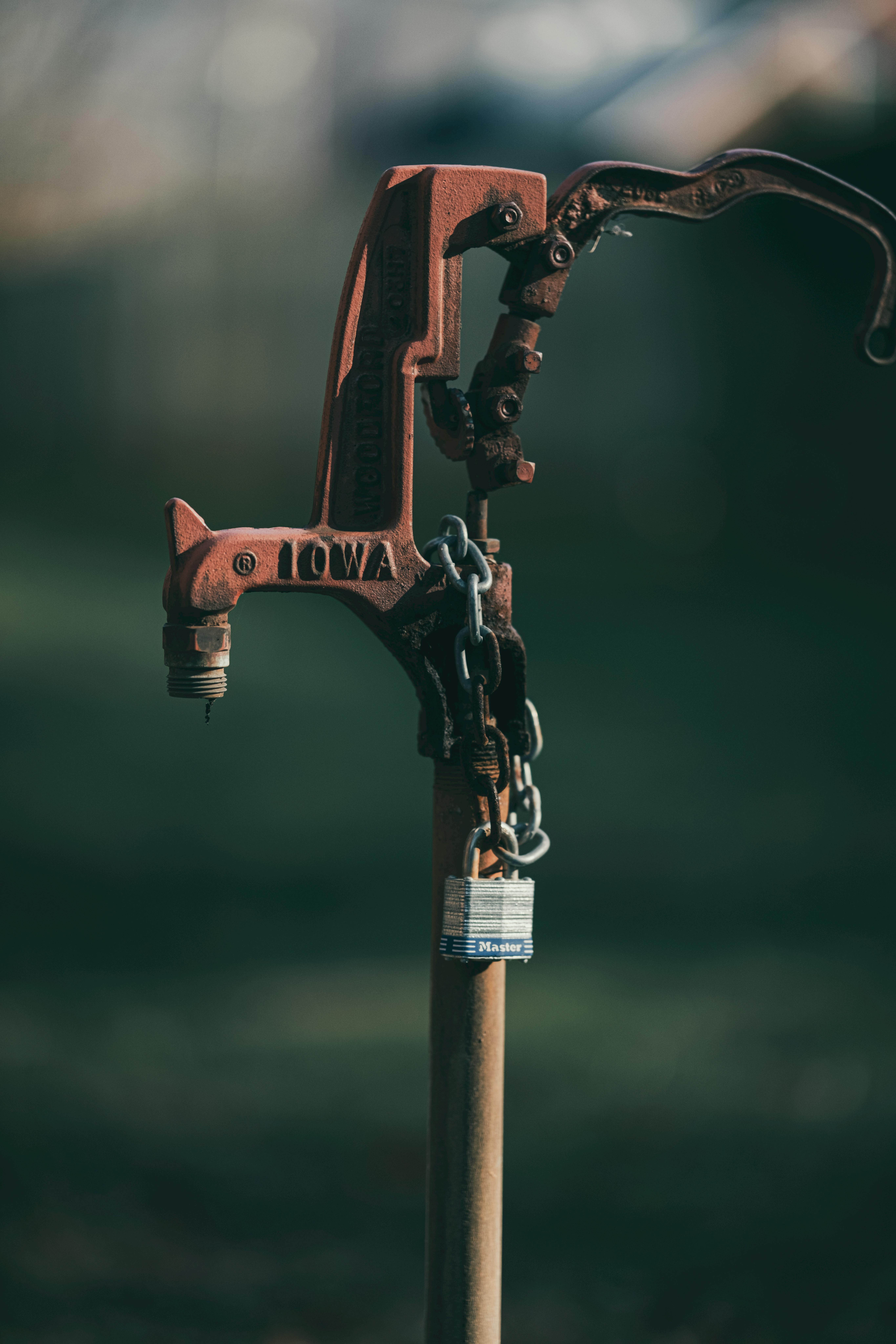 Tool Nemo Photos, Download The BEST Free Tool Nemo Stock Photos & HD Images