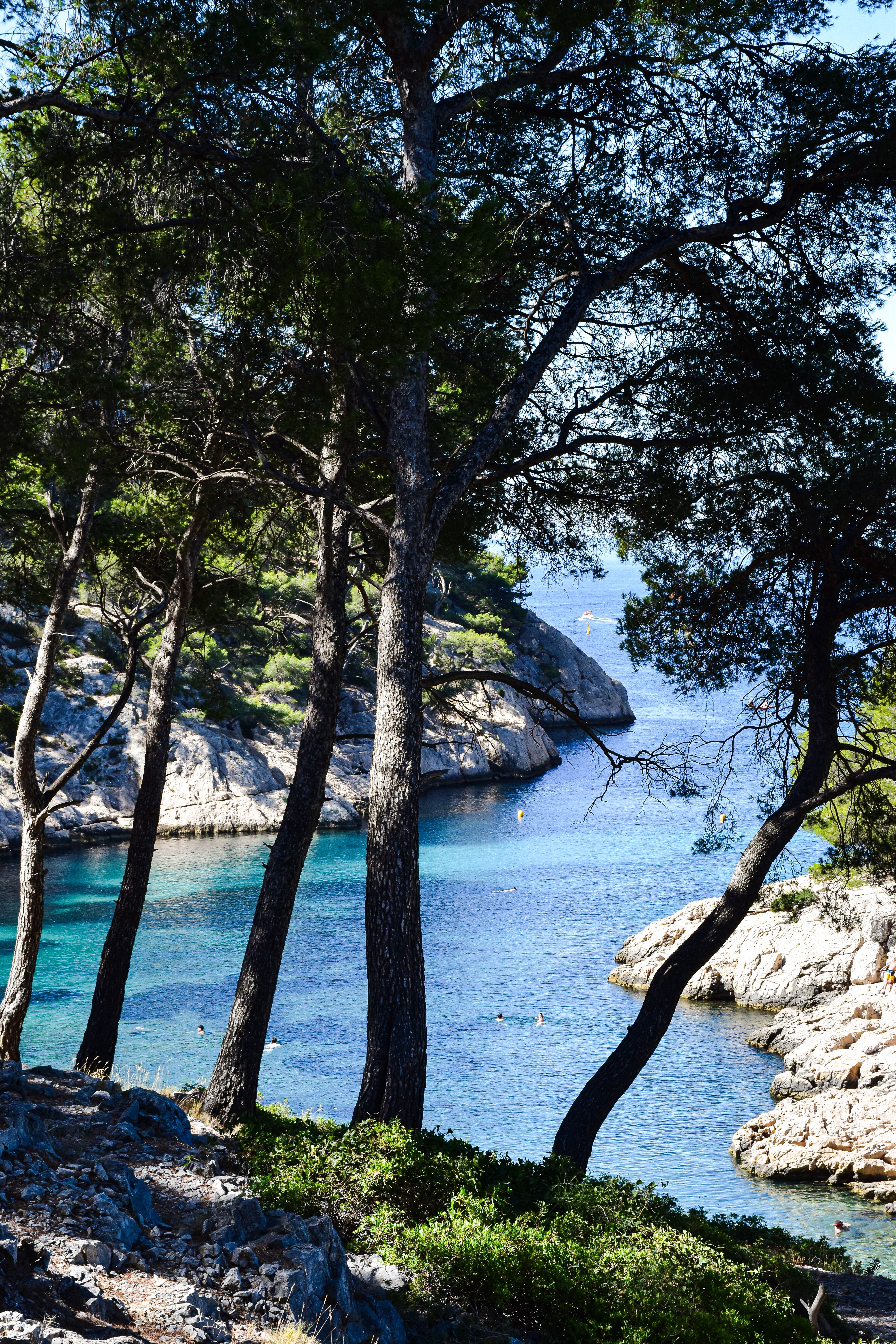 Scenic View of Calanques in Provence, France · Free Stock Photo