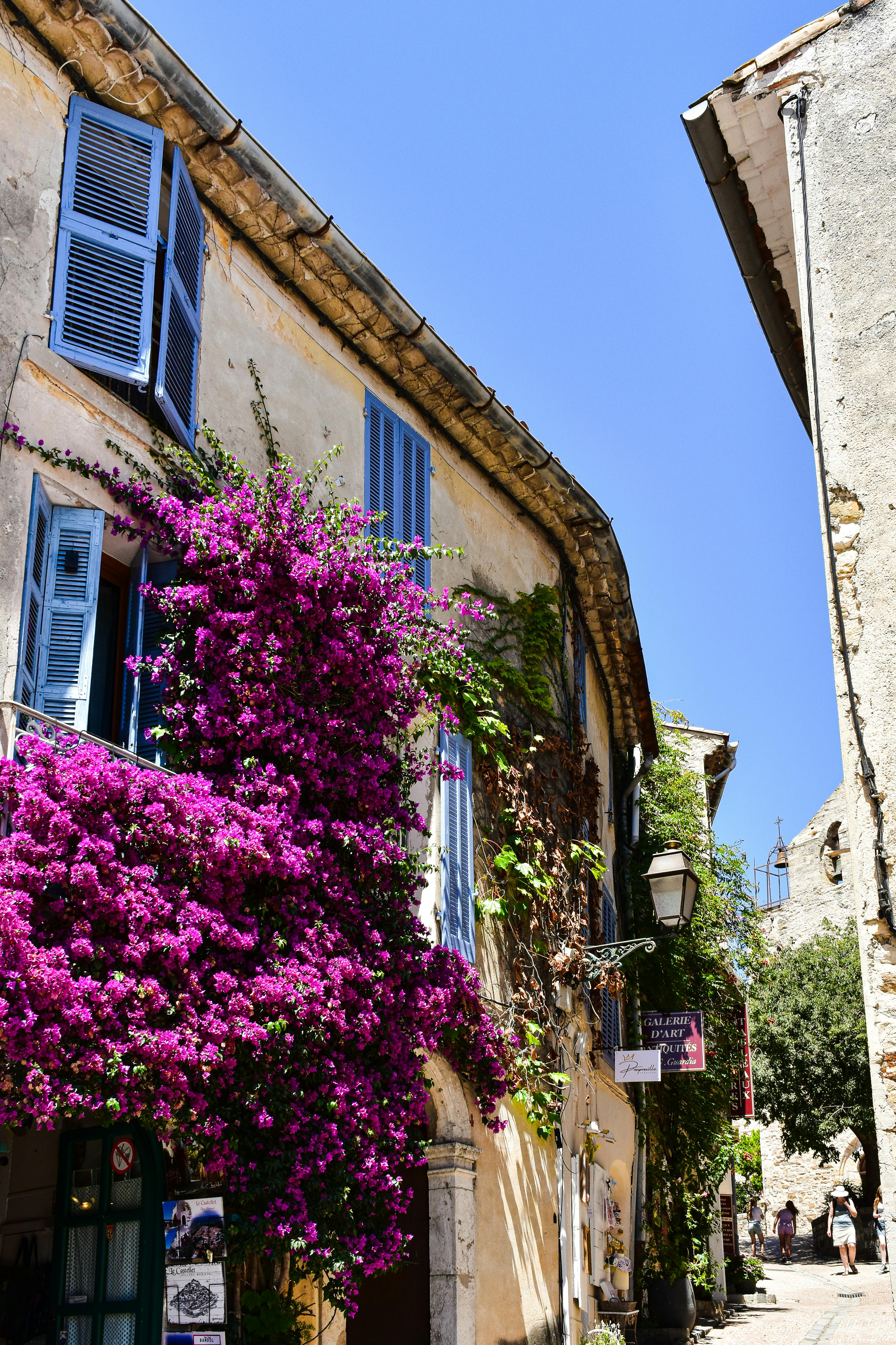 Charming Street in Provence with Bougainvillea · Free Stock Photo