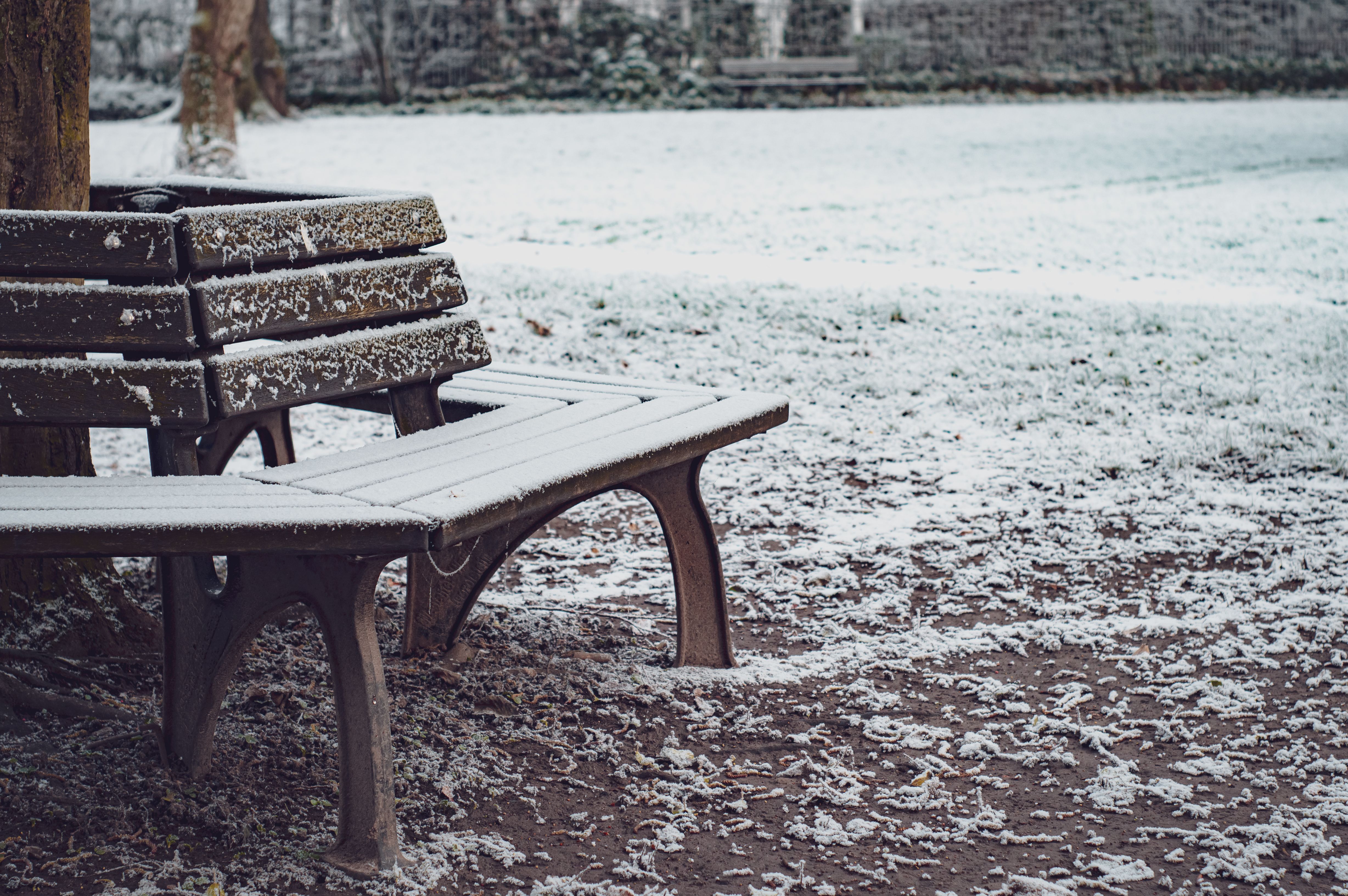 Snow-Covered Bench in Winter Park Scene · Free Stock Photo