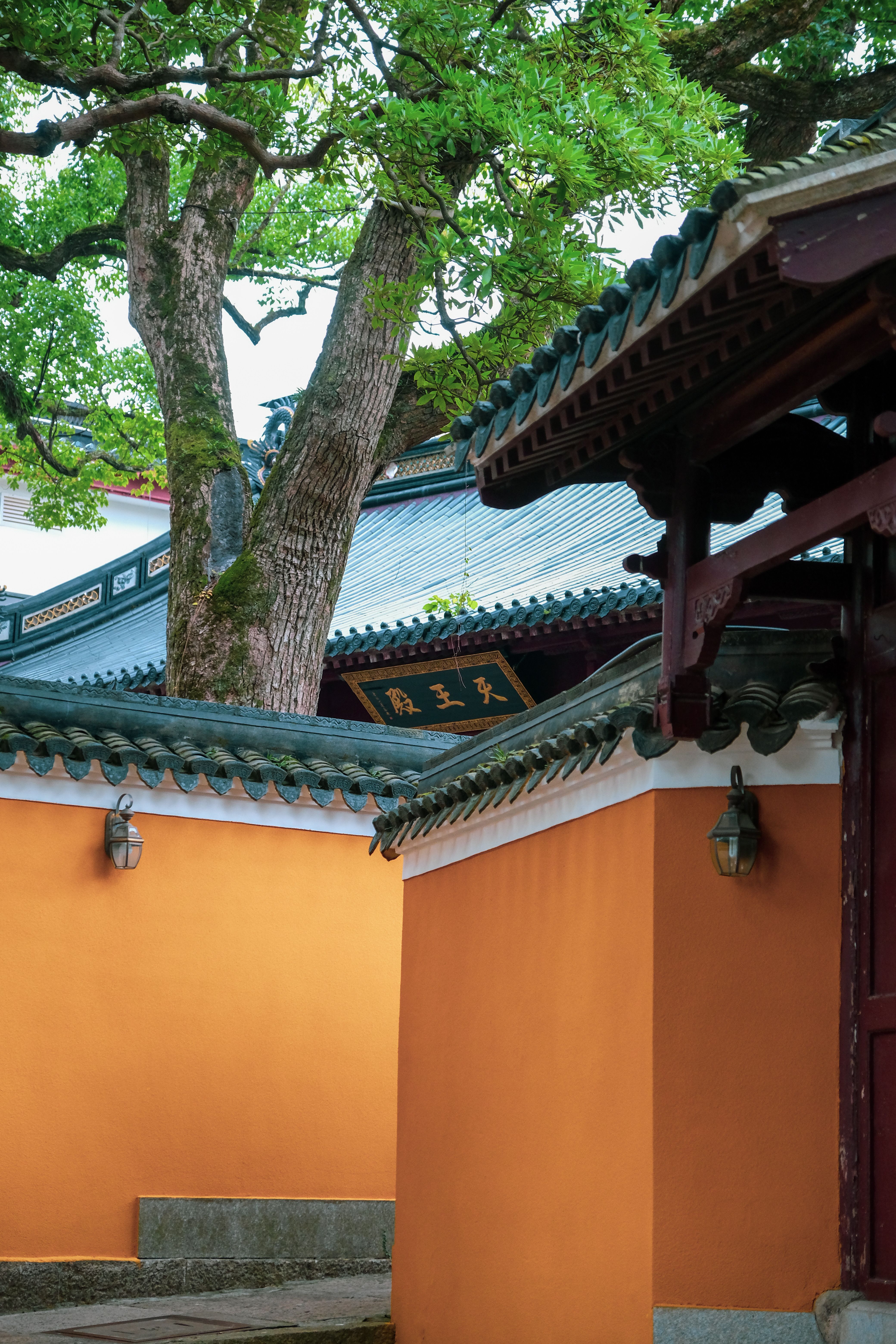 Peaceful Asian Temple Courtyard with Orange Walls · Free Stock Photo