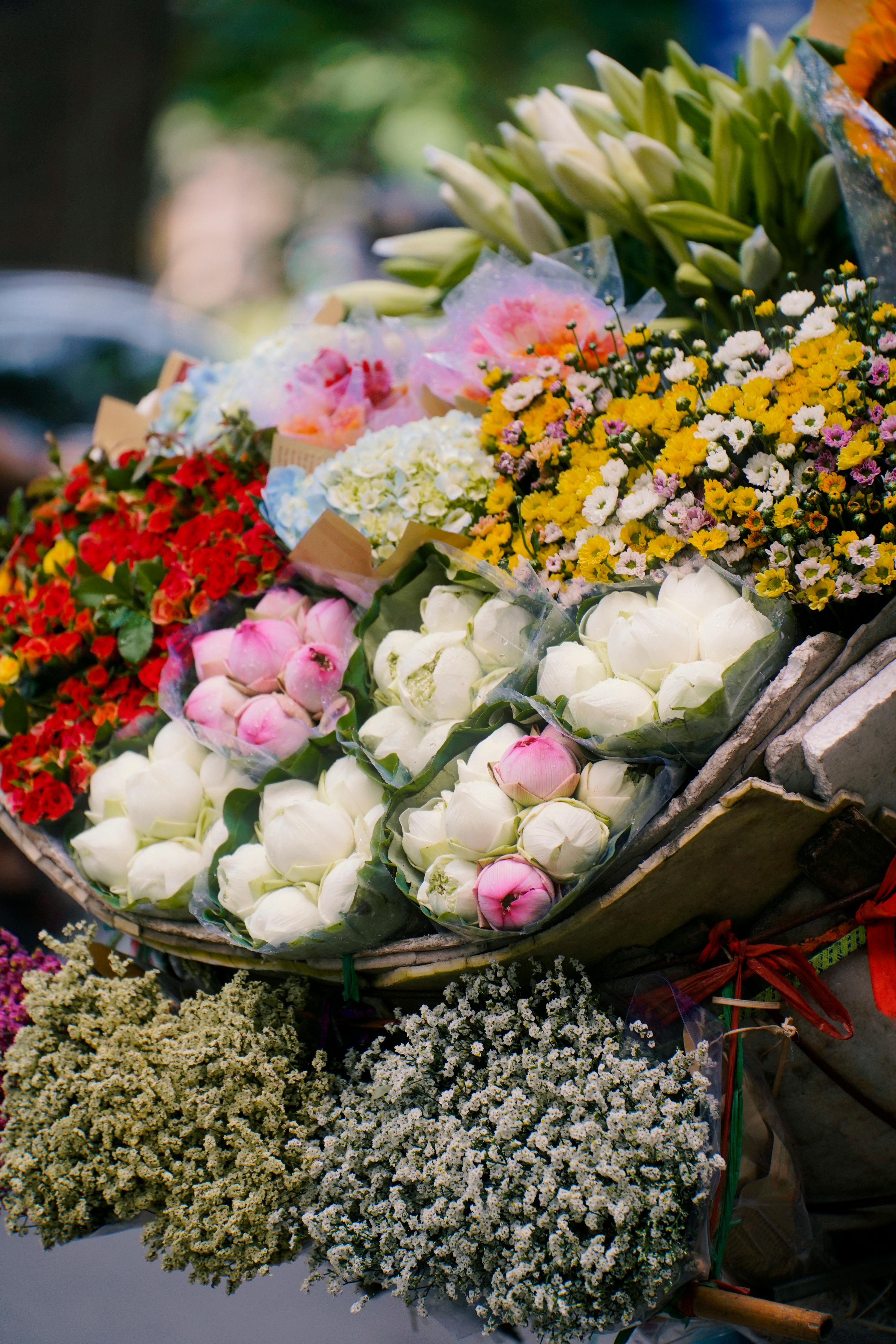 Vibrant Hanoi Street Flower Market Display · Free Stock Photo