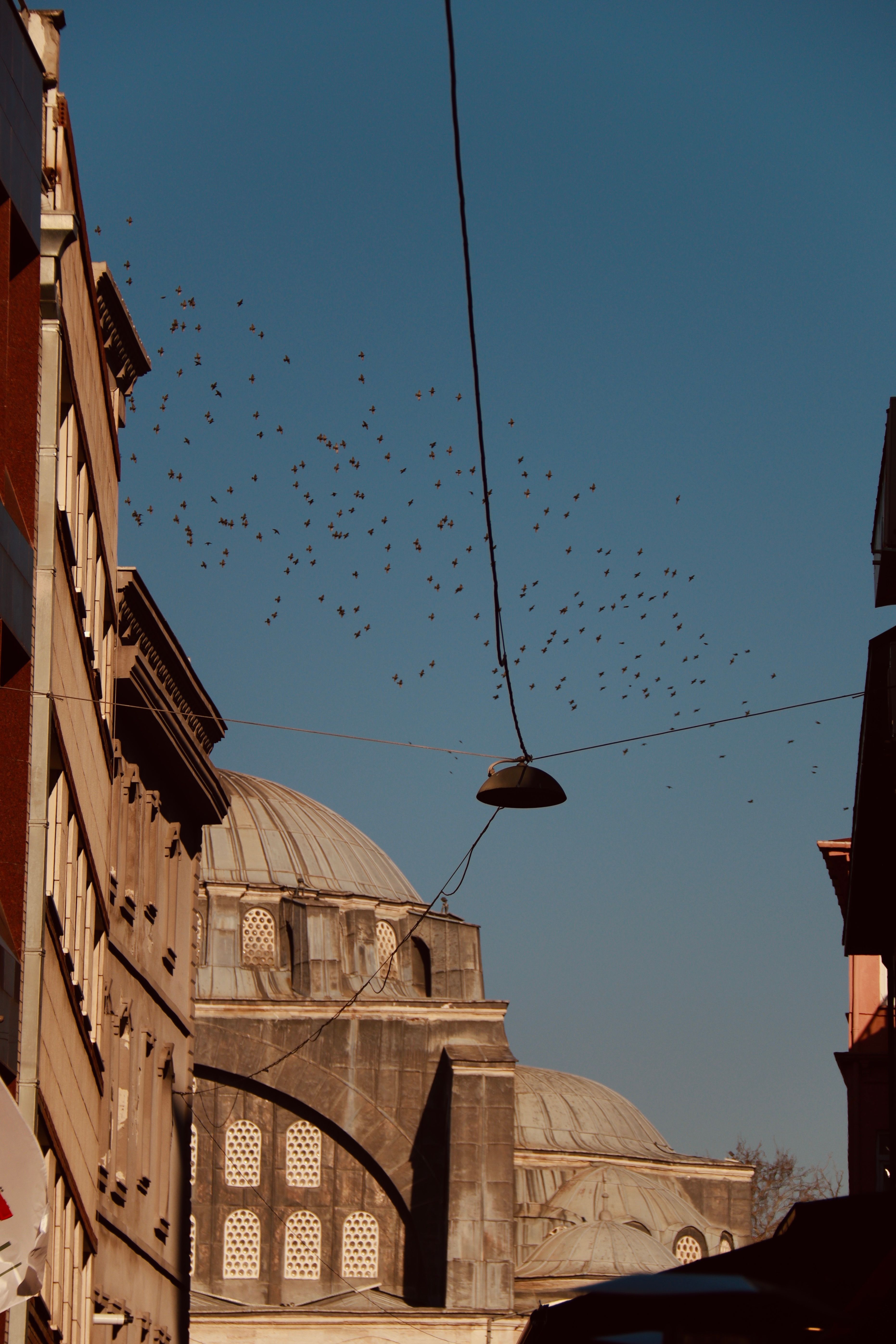 Historic Architecture and Birds Overhead in Street Scene · Free Stock Photo