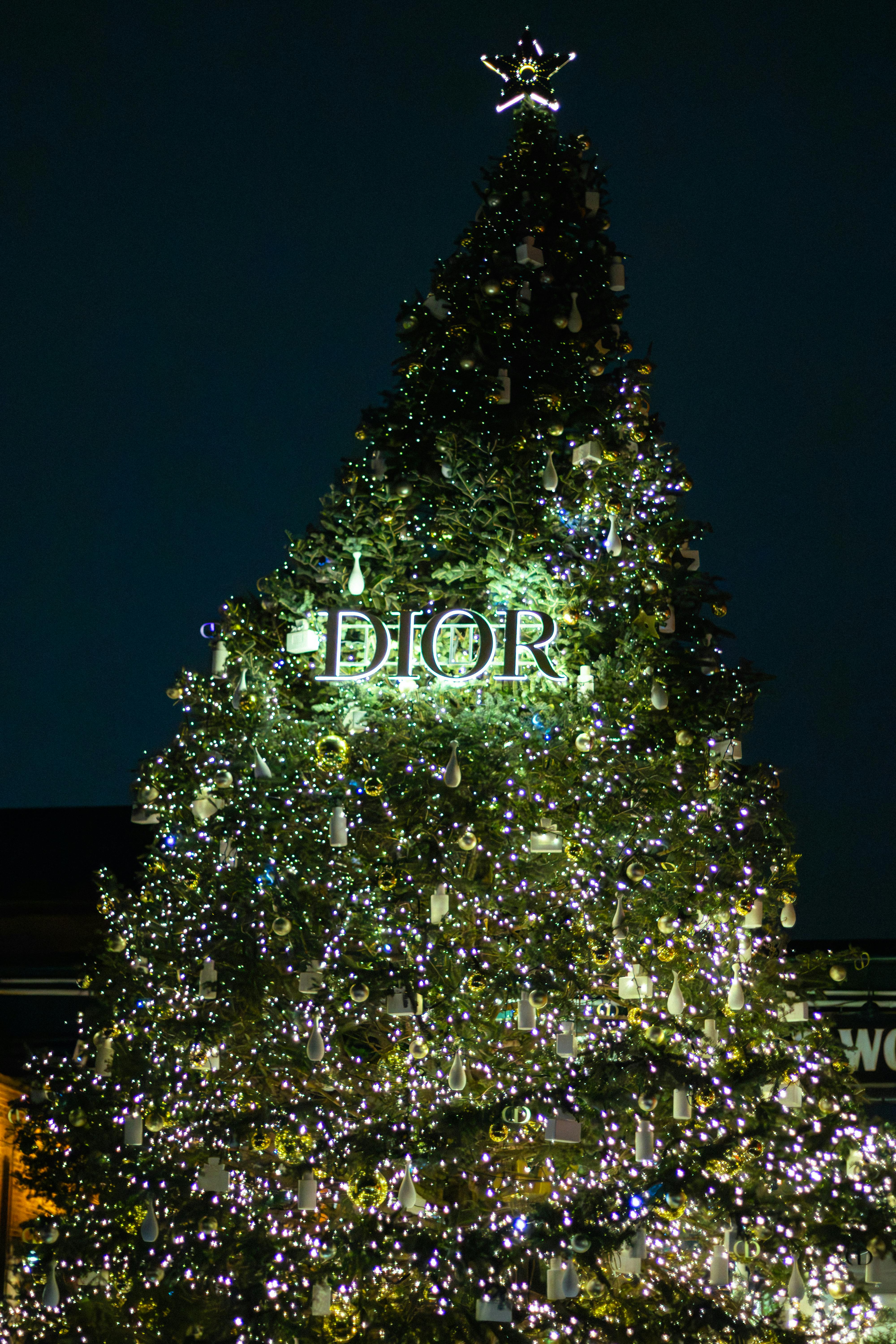 Stunning Dior Christmas Tree in Toronto at Night · Free Stock Photo