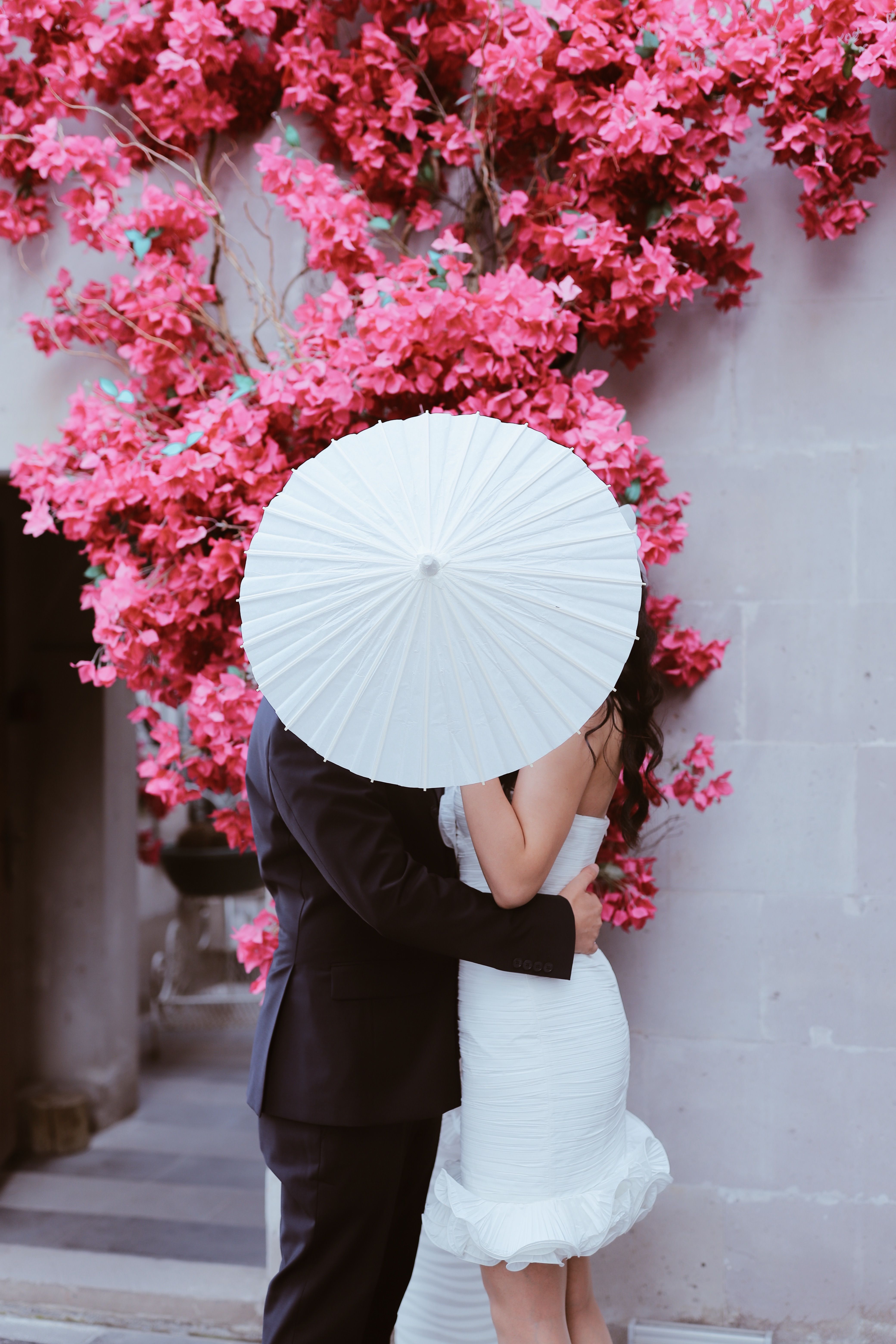 Free Stock Photos, Royalty Free Stock Images & Copyright Free Pictures ...