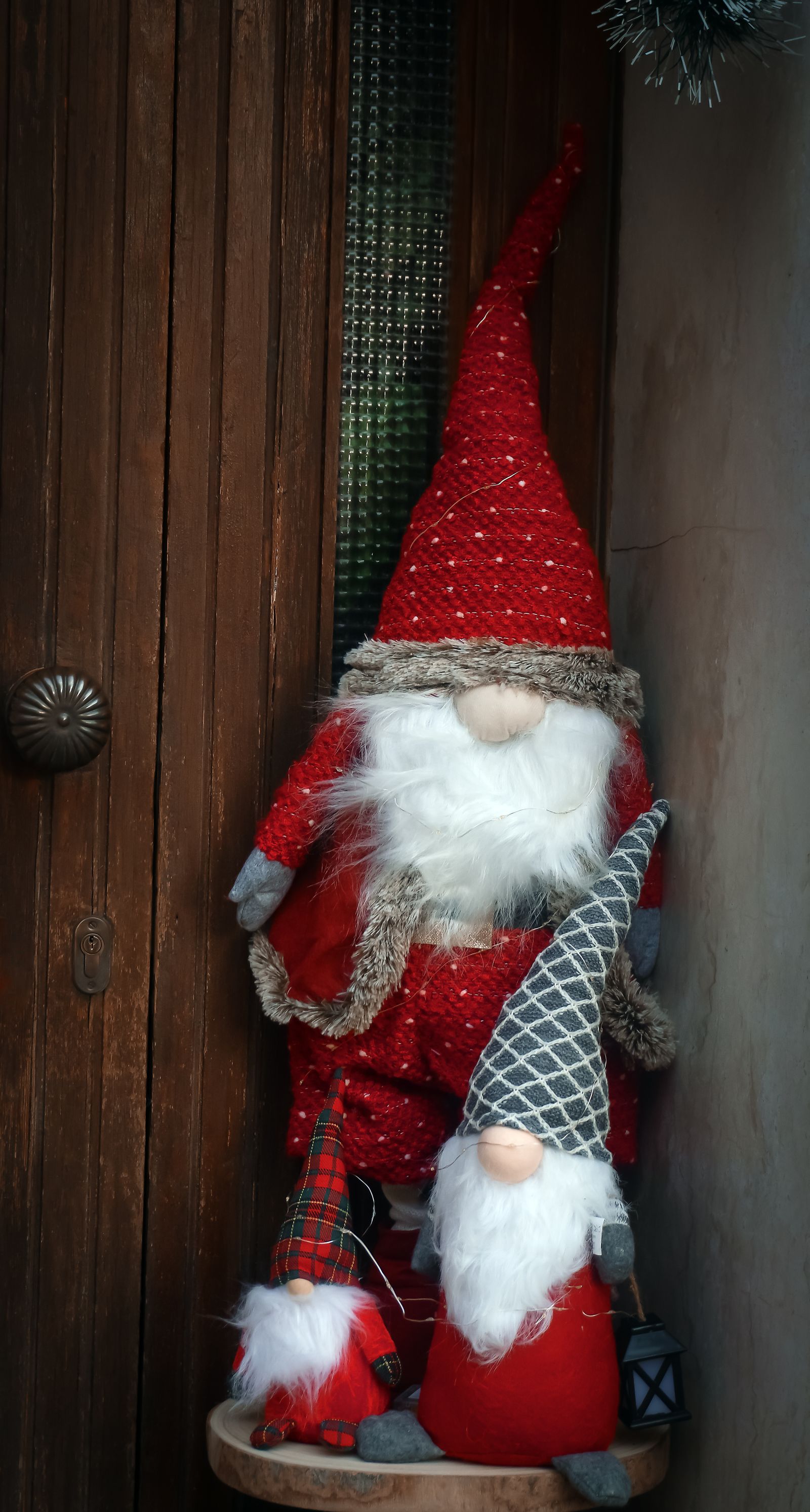 Gnomes Photos Download The Best Free Gnomes Stock Photos Hd Images