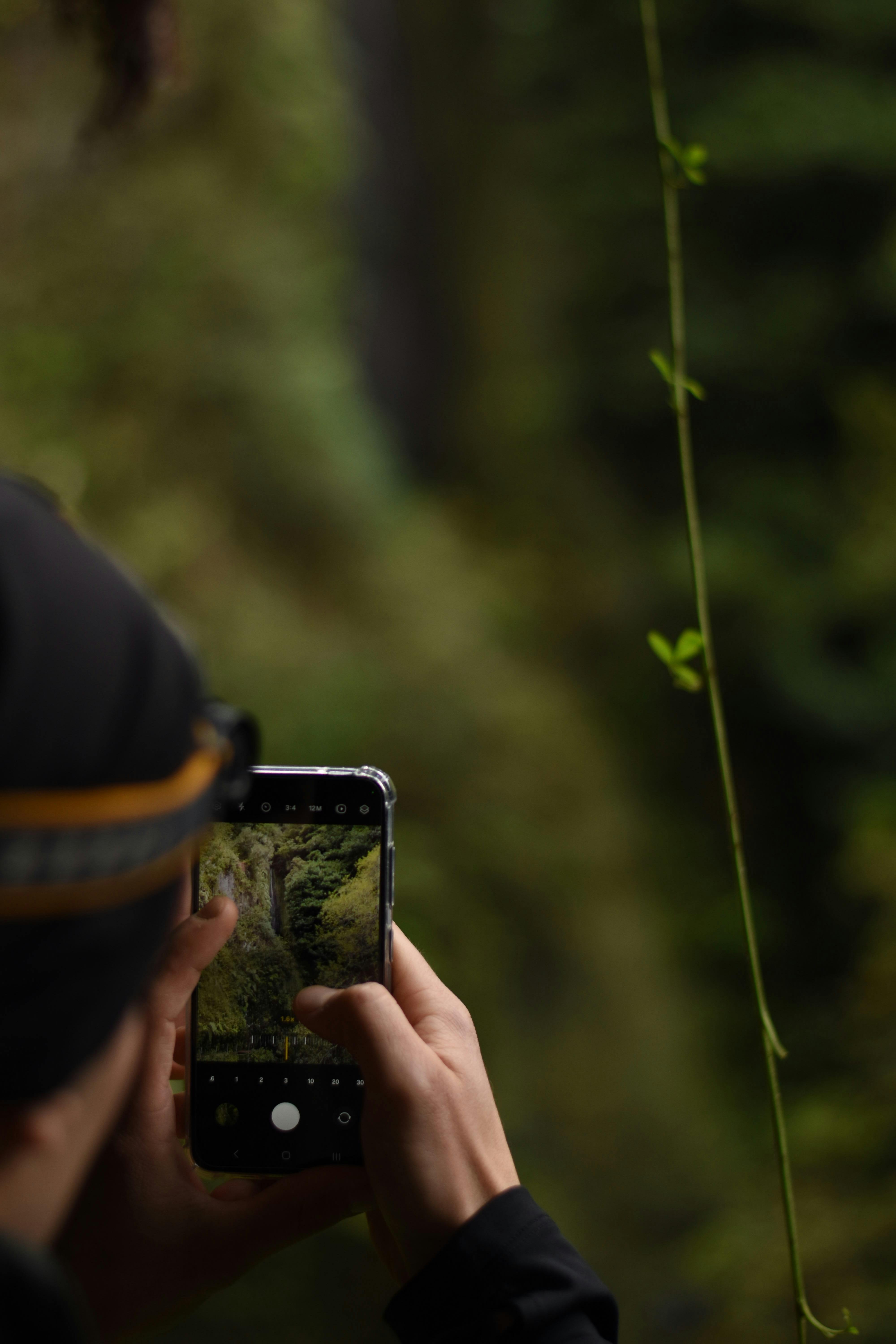 Person Capturing Nature with Smartphone in Forest · Free Stock Photo