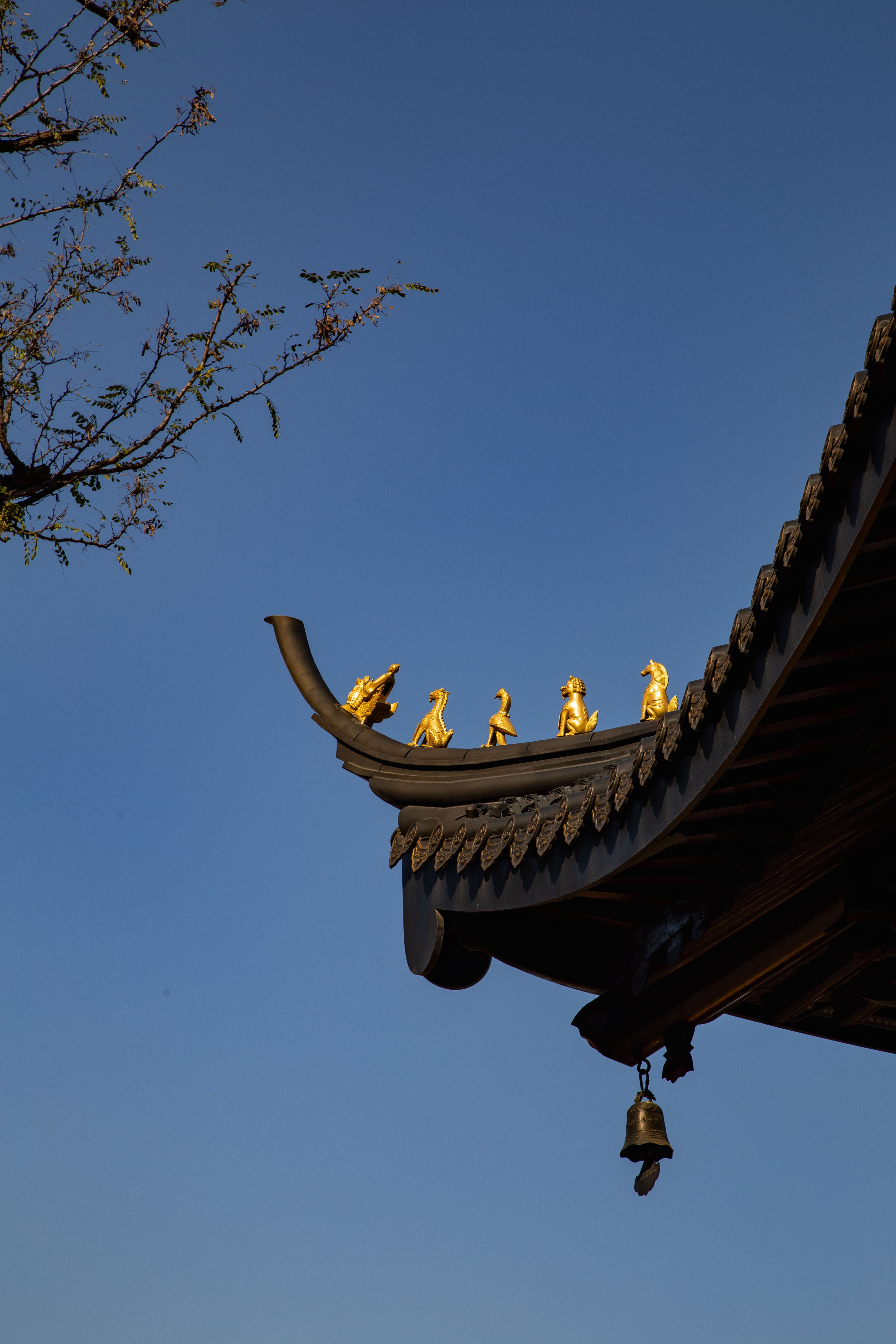 Ornate Traditional Asian Temple Rooftop Design · Free Stock Photo