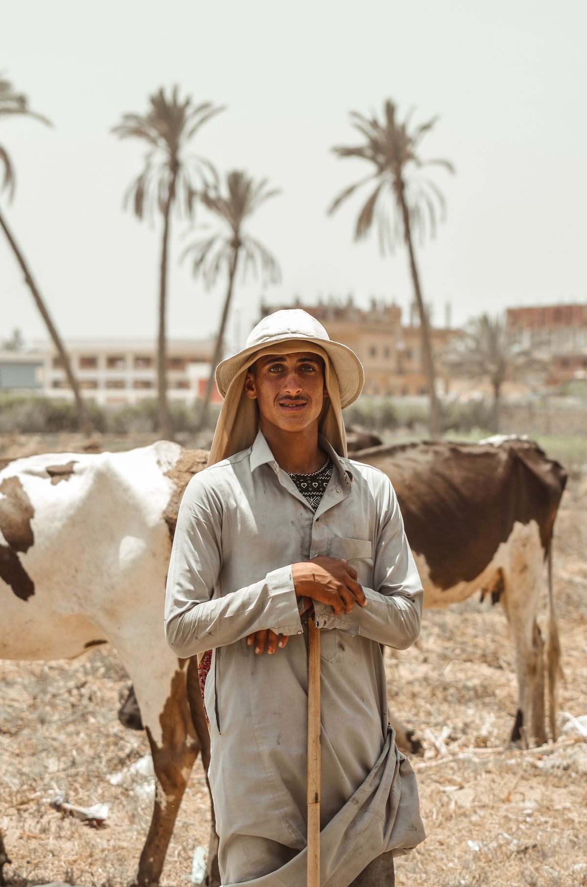 Farm In Egypt Photos, Download The BEST Free Farm In Egypt Stock Photos ...