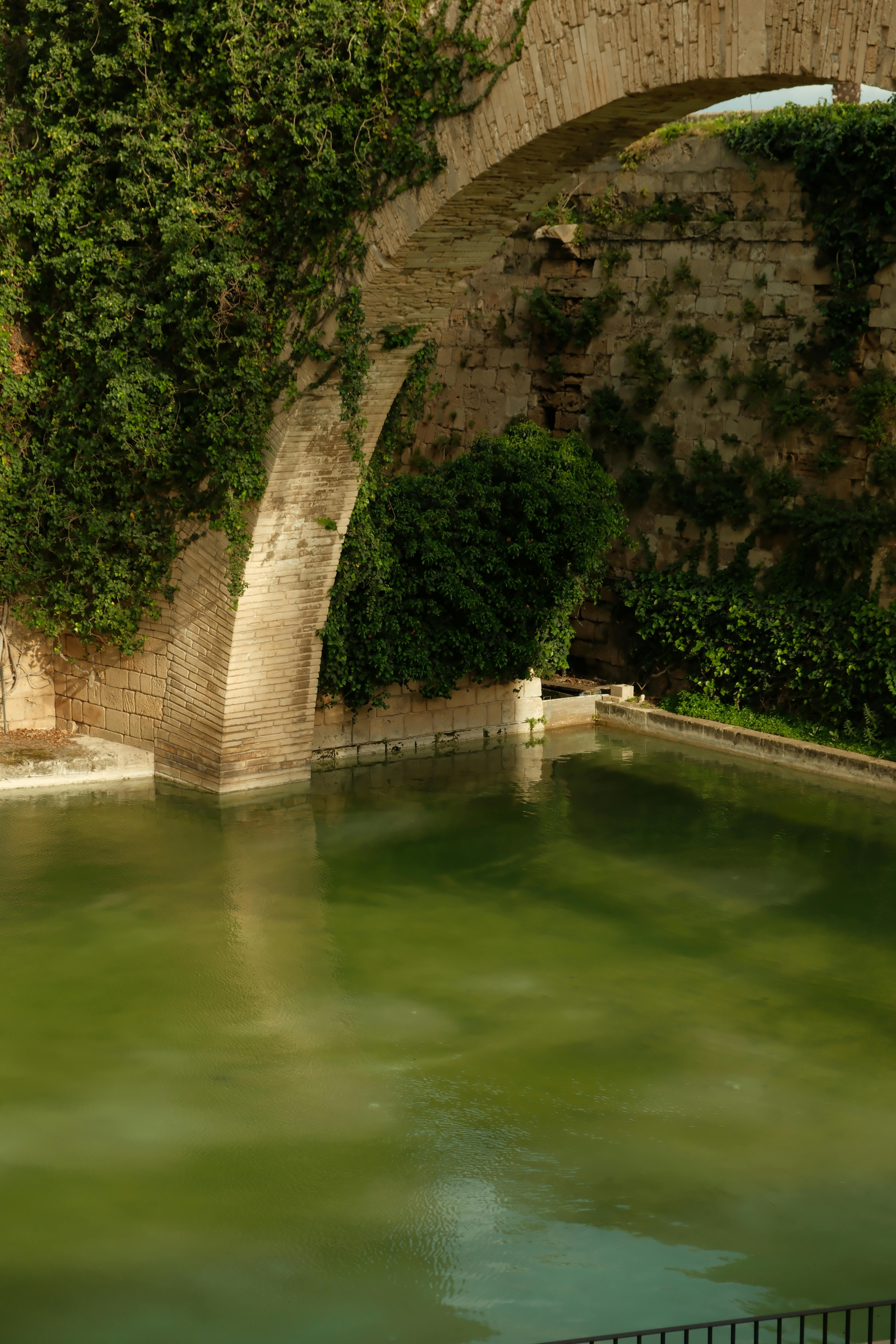 Arc Reflection Photos, Download The BEST Free Arc Reflection Stock ...