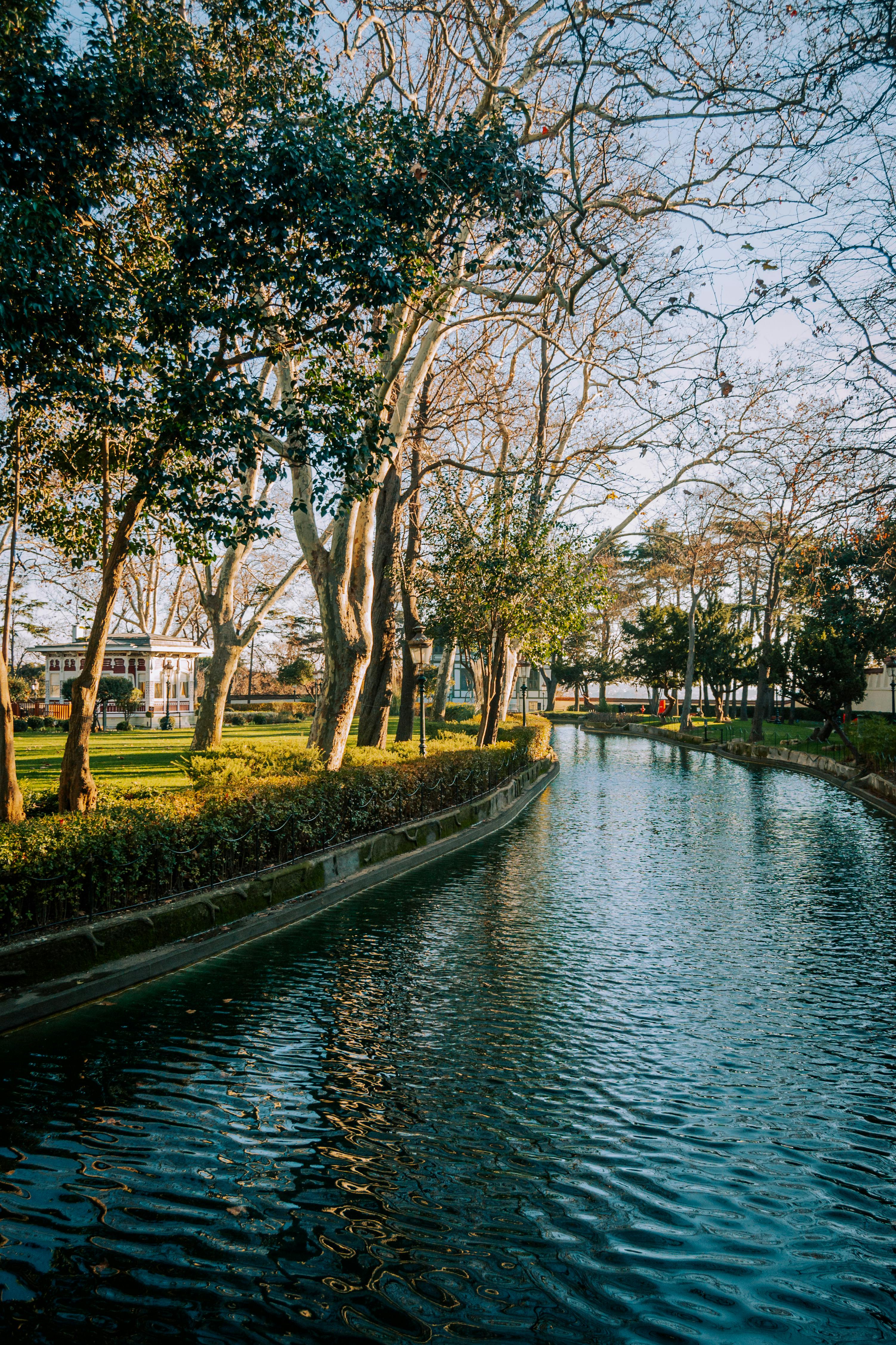 Scenic Riverside Pathway in a Park Setting · Free Stock Photo