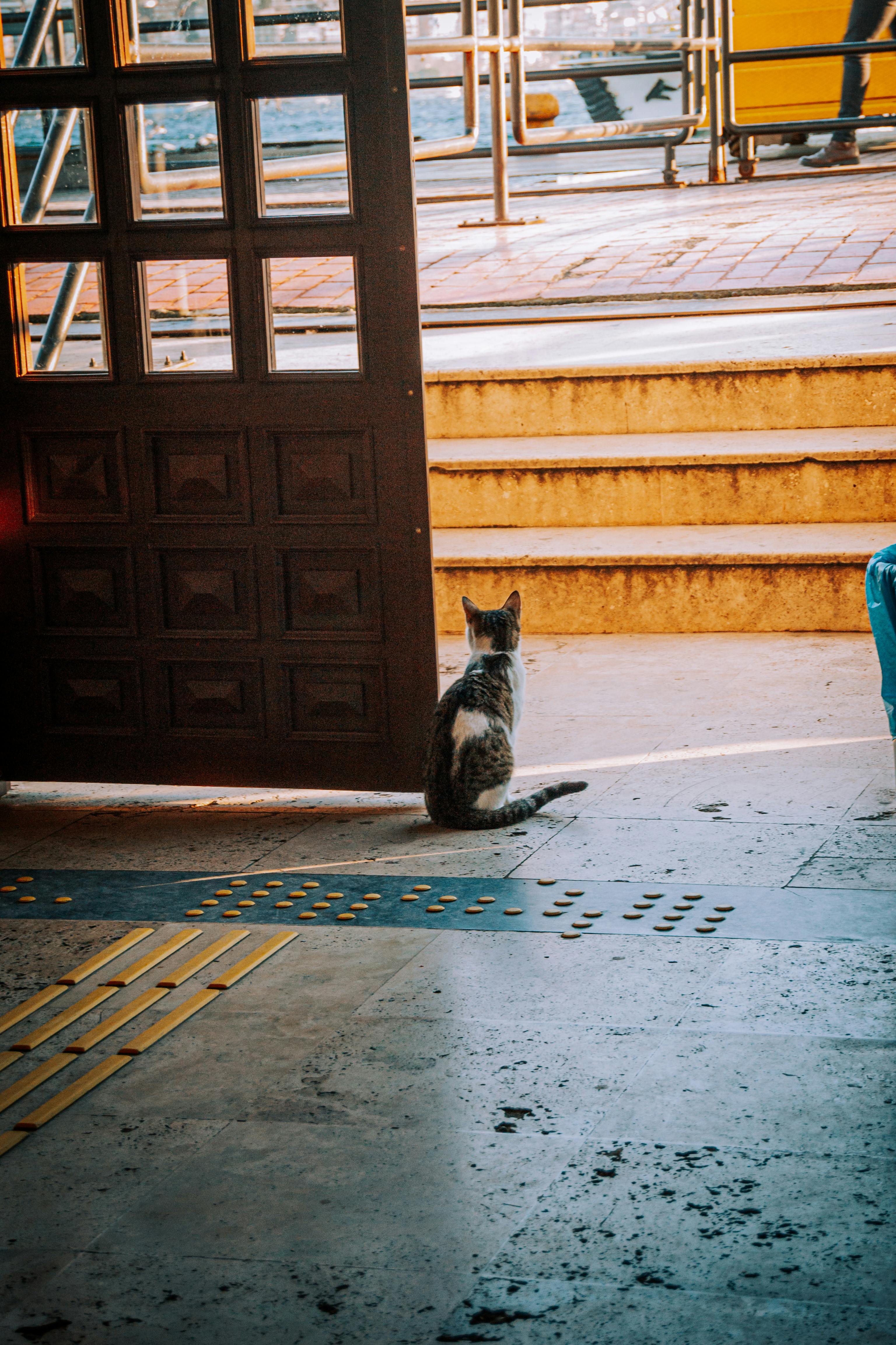 Foto de stock gratuita sobre @al aire libre, #interior, a rayas ...