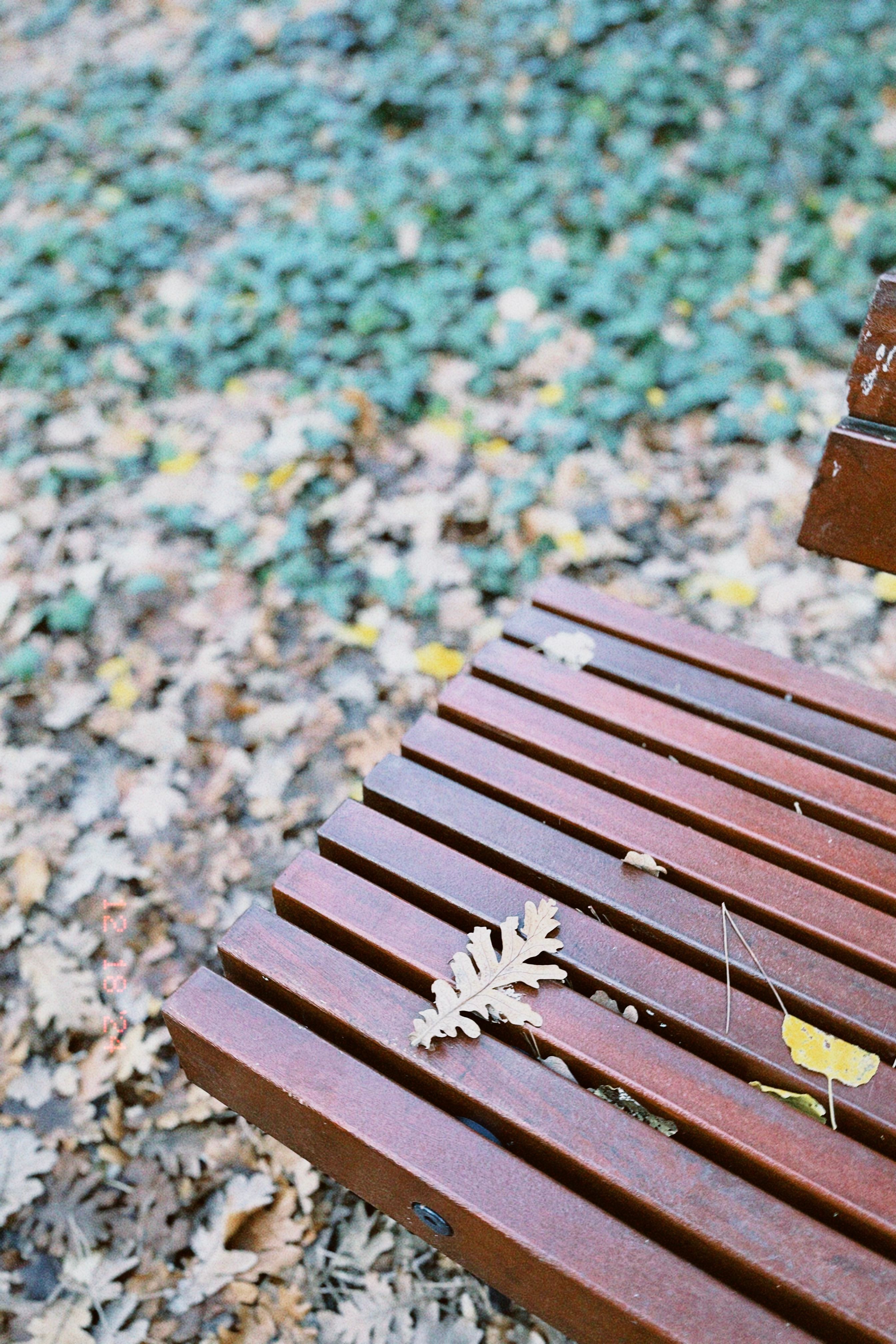 Hojas De Otoño En Un Banco De Madera Del Parque · Foto de stock gratuita