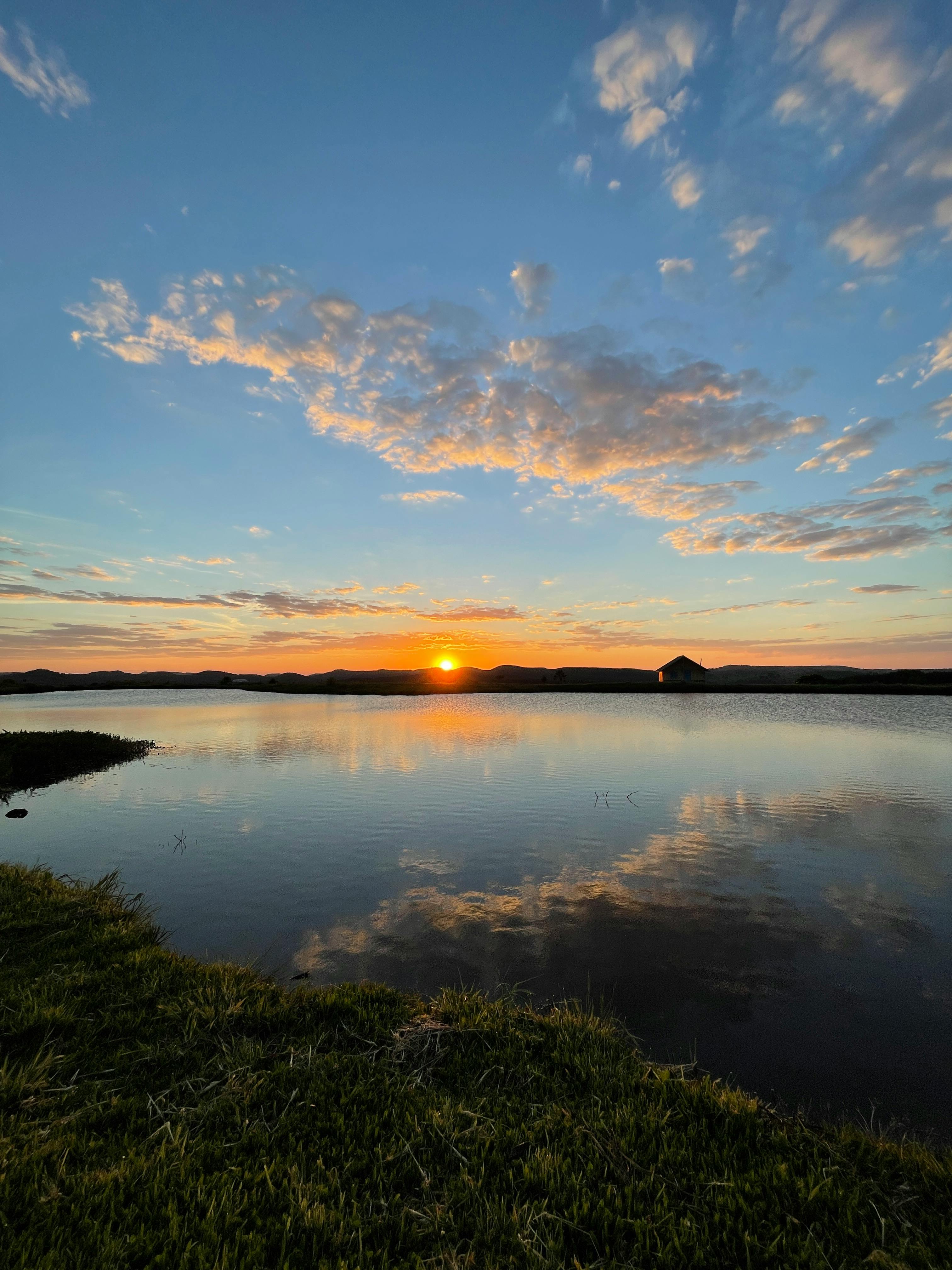 Uccello Sul Tetto Photos, Download The BEST Free Uccello Sul Tetto ...