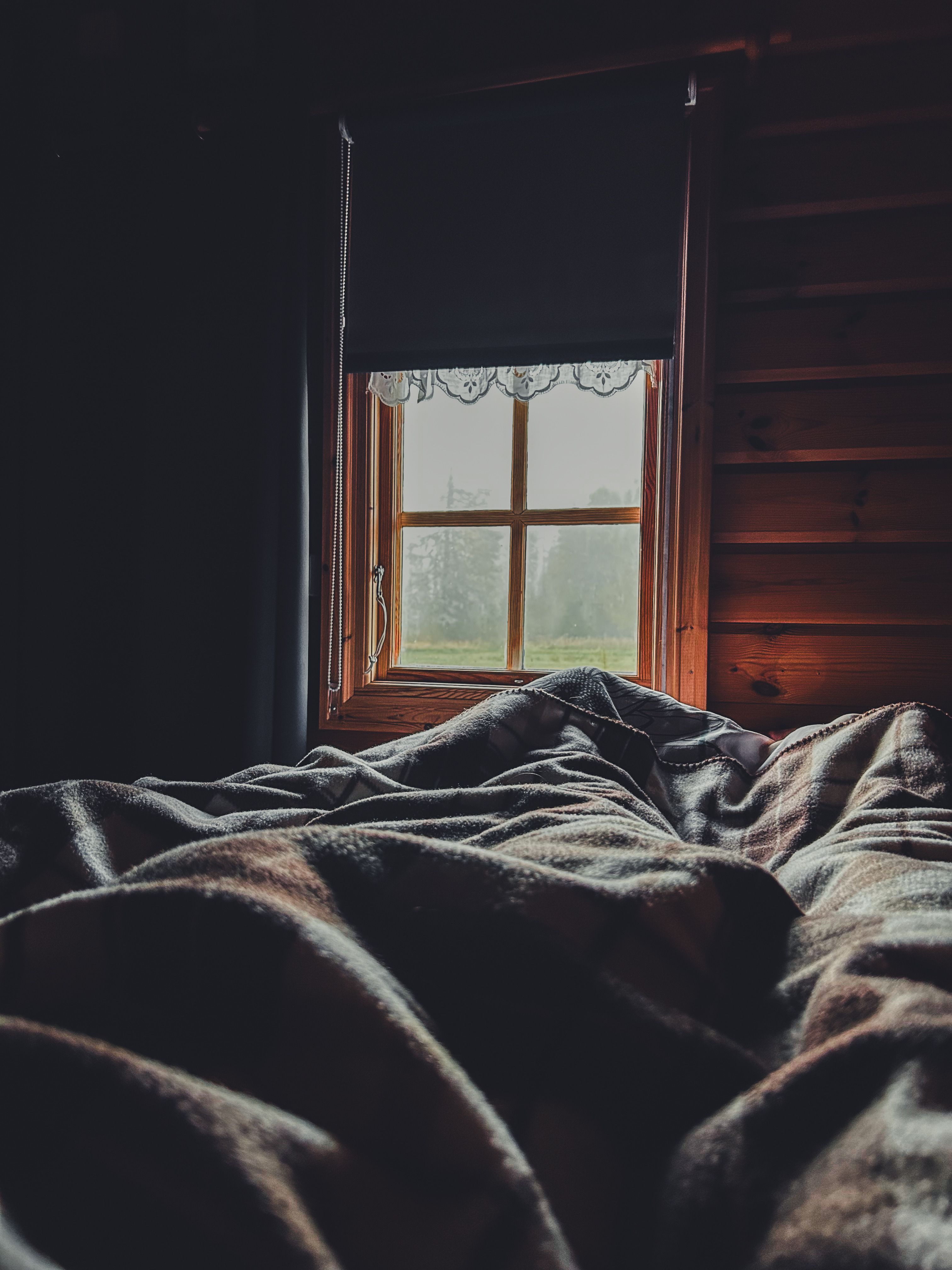Cozy Cabin Morning View from Bed · Free Stock Photo