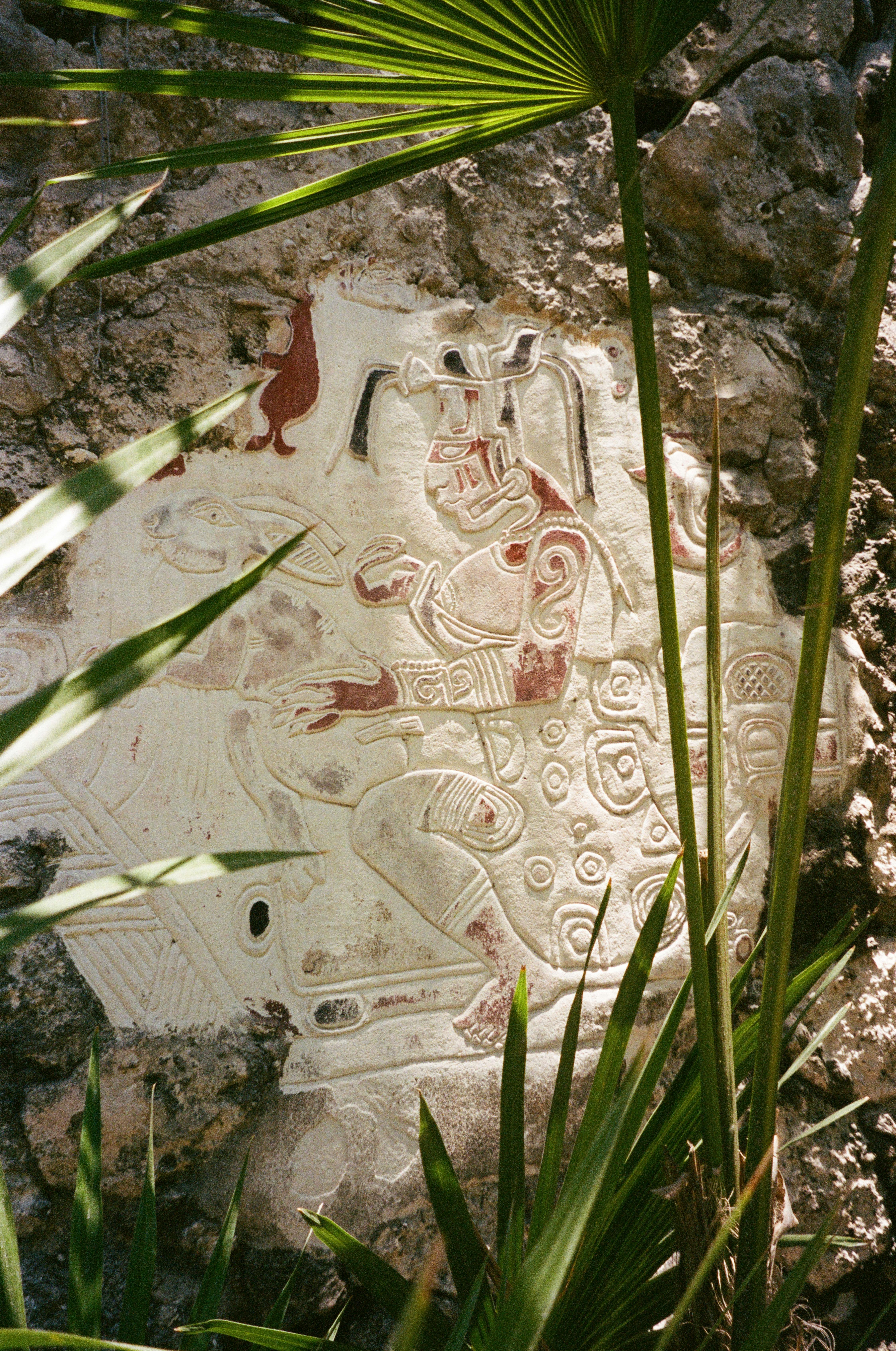 Ancient Mayan Carving in Tulum, Mexico · Free Stock Photo