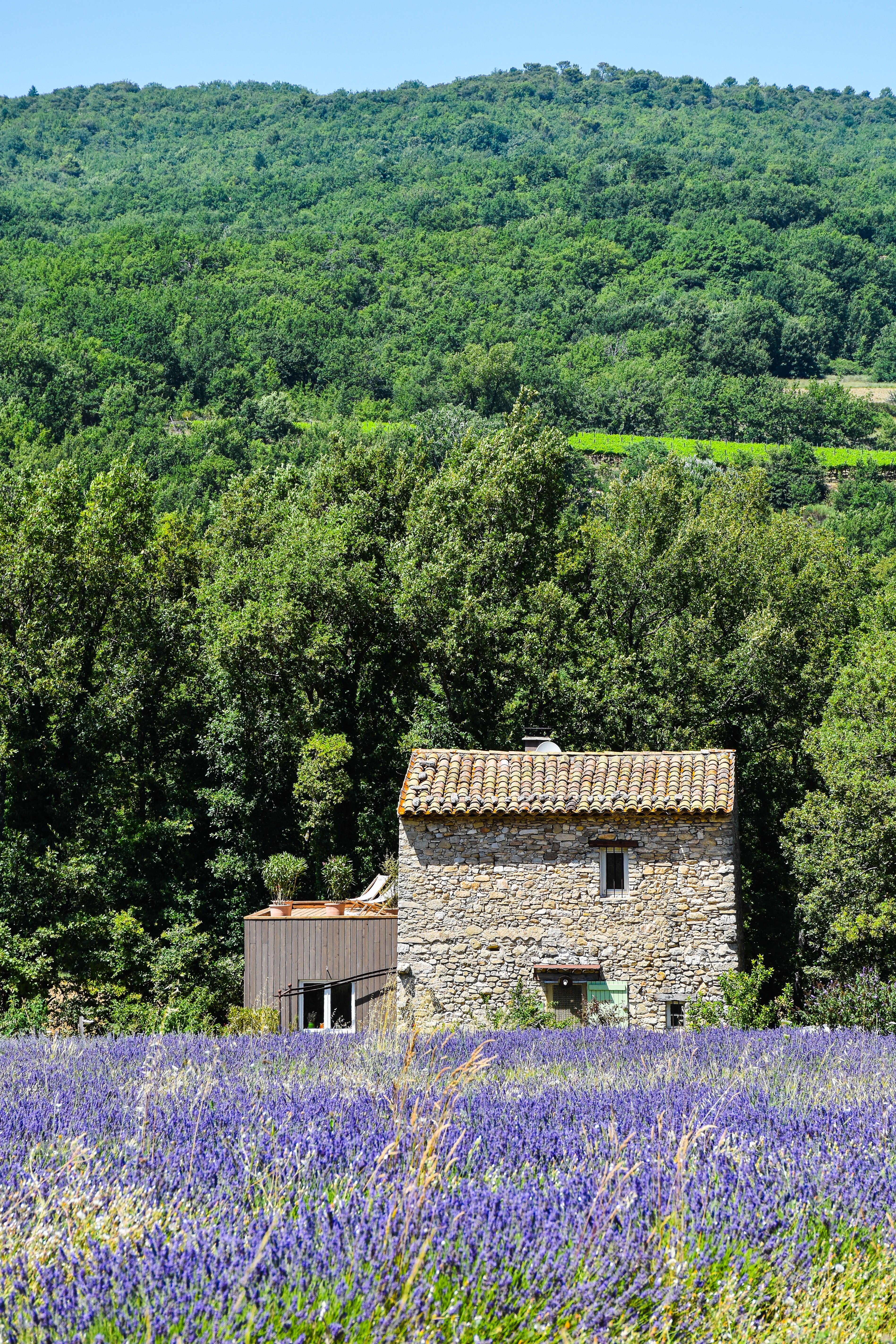 Charming Stone House in Lavender Field · Free Stock Photo