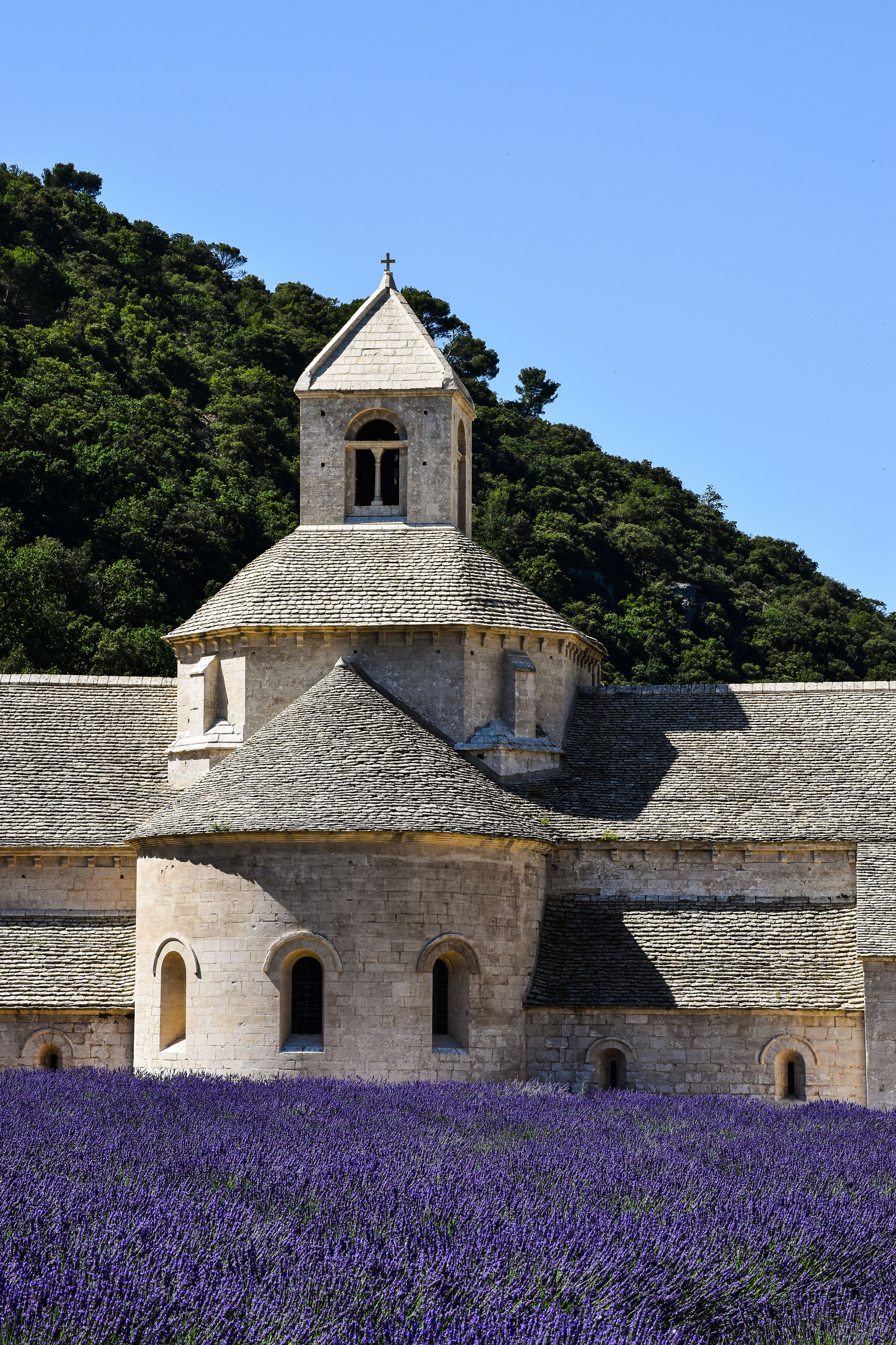 Abbaye Historique Entourée De Champs De Lavande En Provence · Photo ...