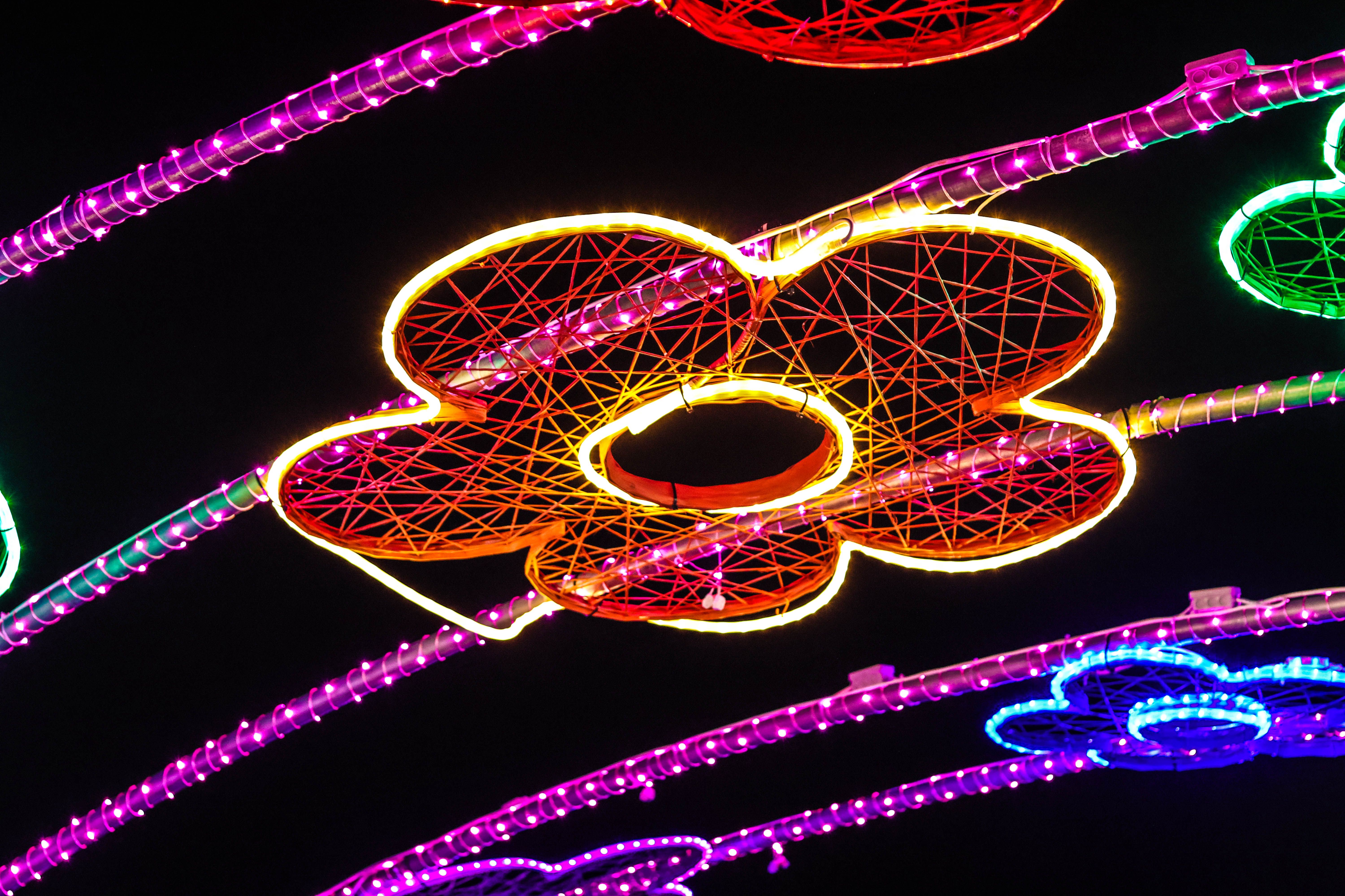 Colorful Neon Flower Light Installation · Free Stock Photo
