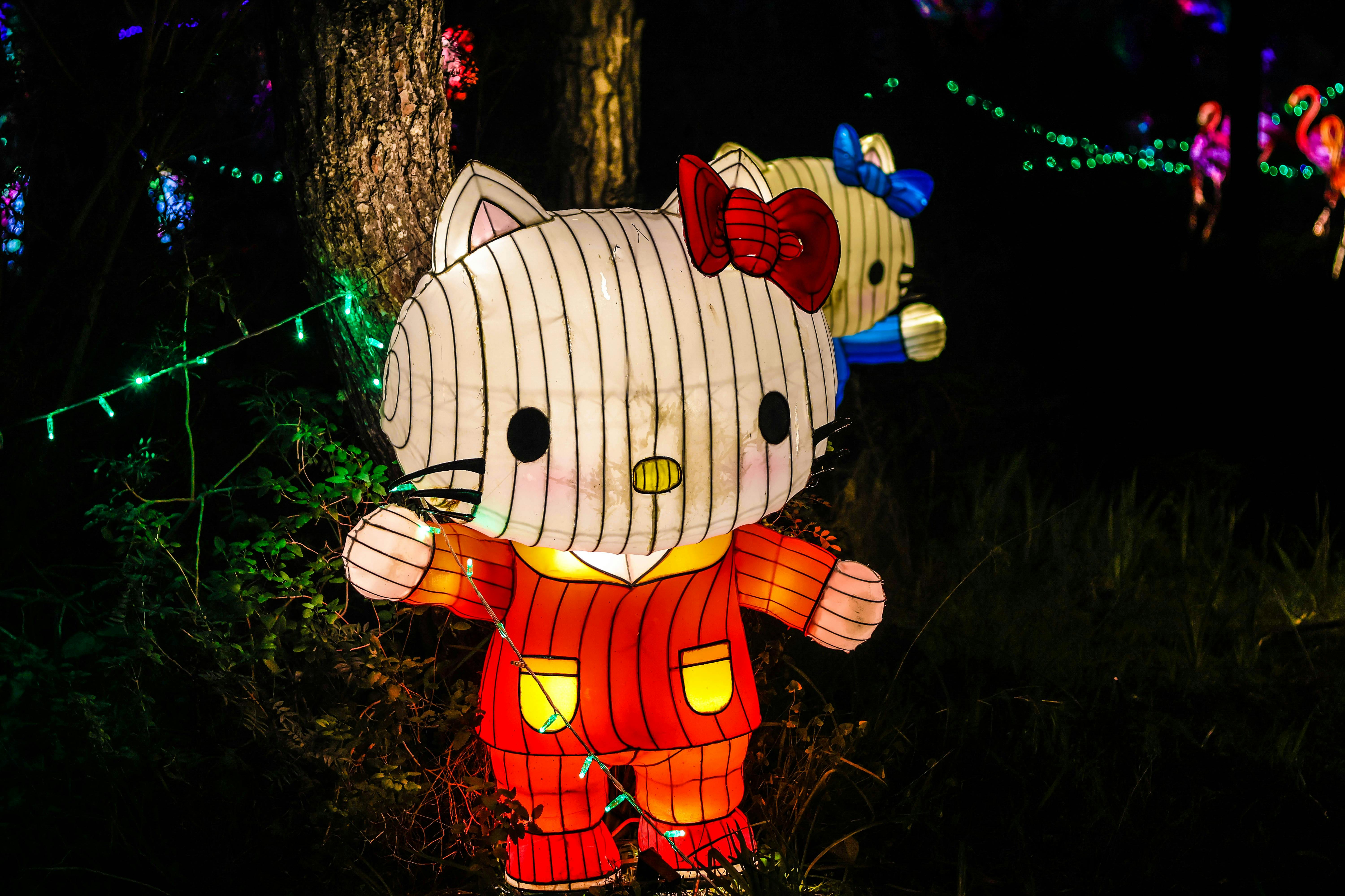 Festive Hello Kitty Lanterns at Night Festival · Free Stock Photo