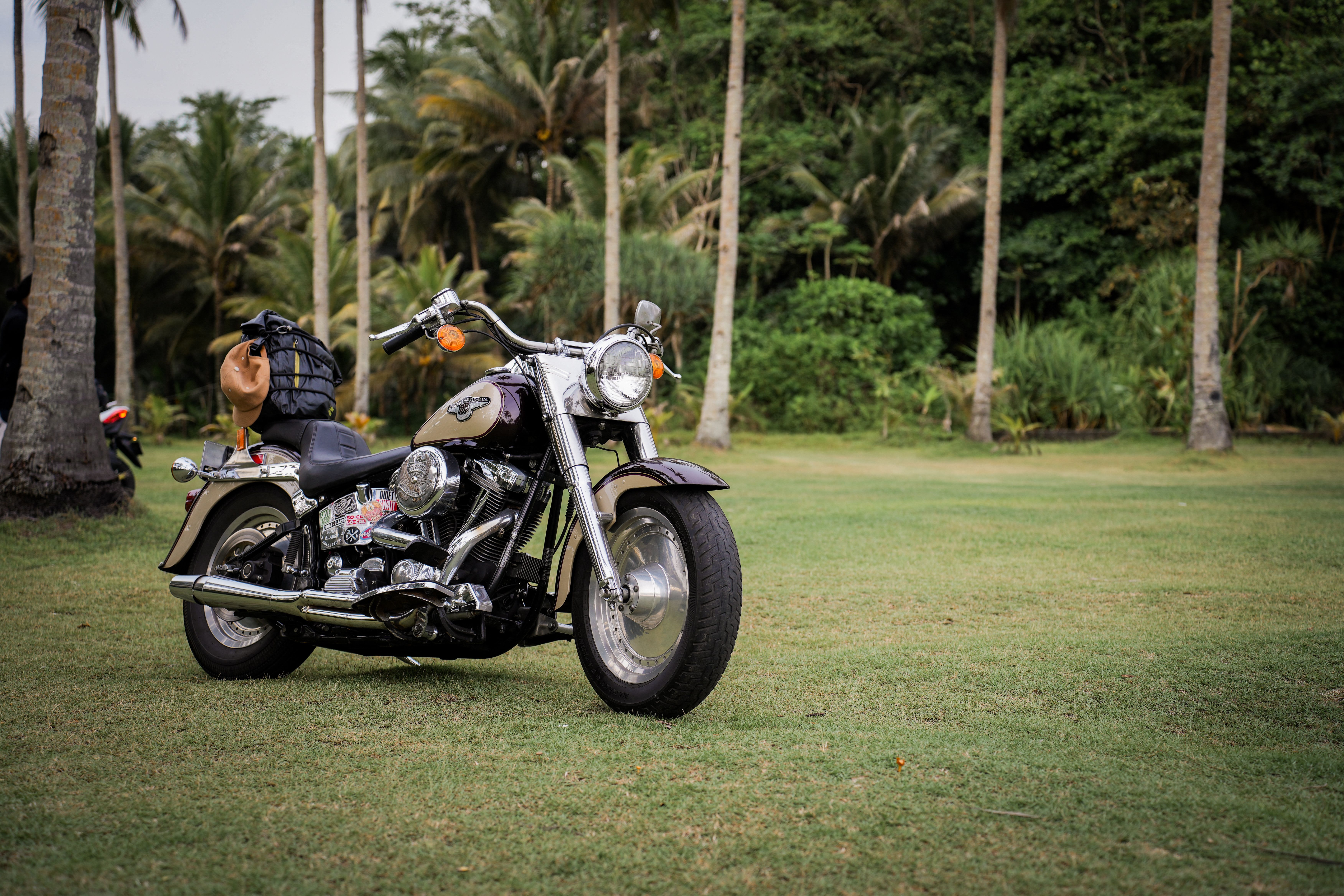 Two Men Riding Motorcycle · Free Stock Photo