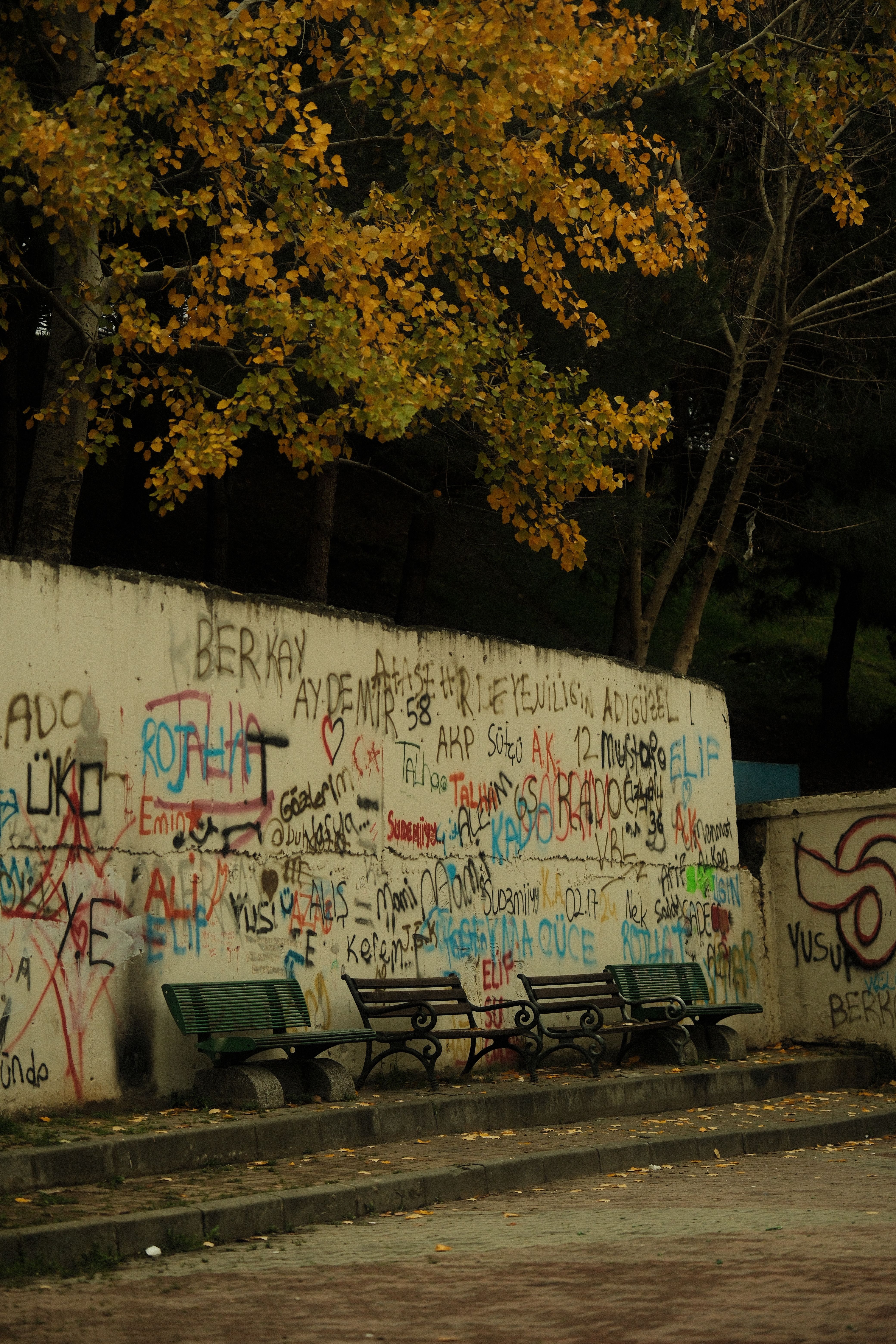 Graffiti on Park Wall with Autumn Leaves Overhead · Free Stock Photo