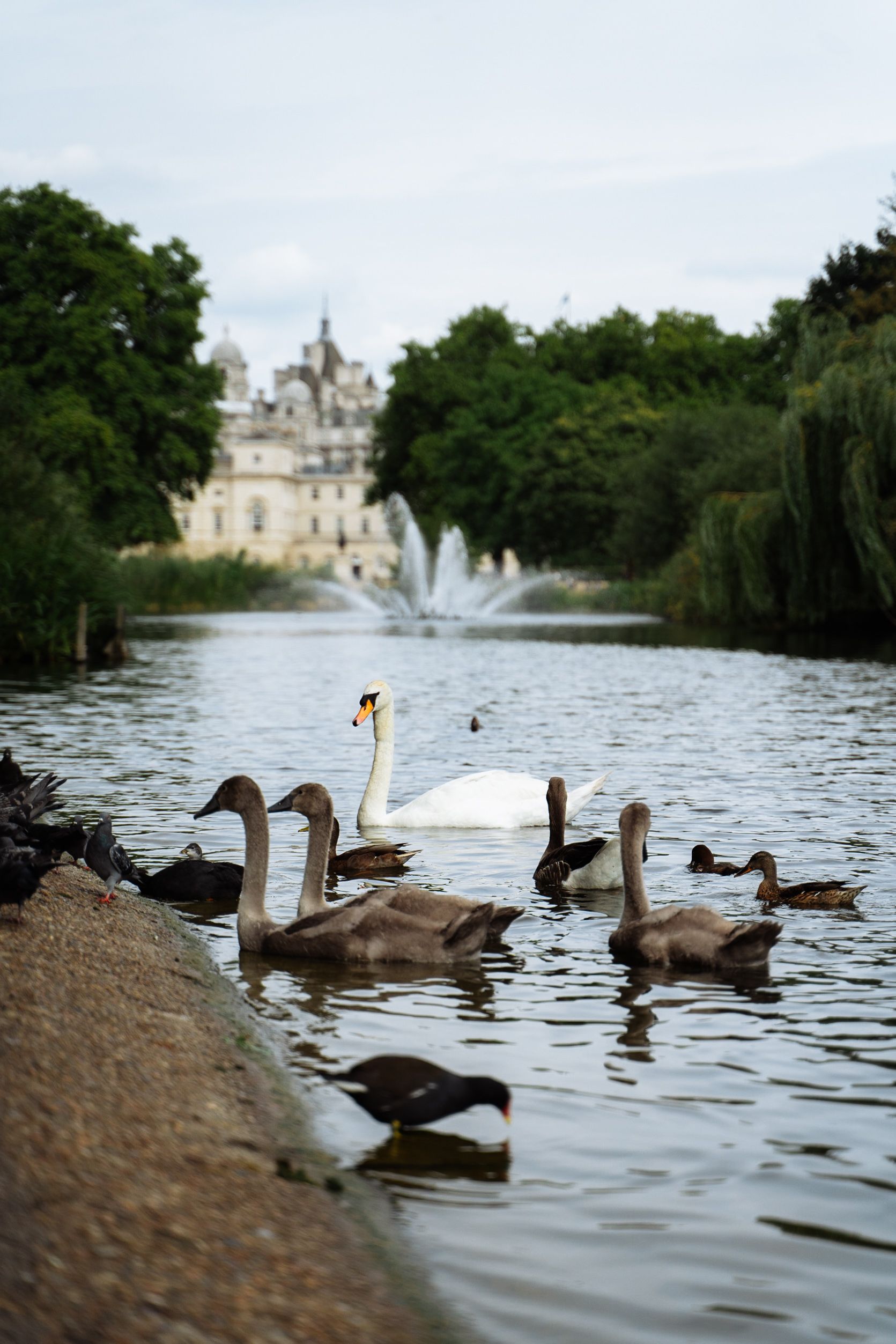 Iconic London Scenery Photos, Download The BEST Free Iconic London ...